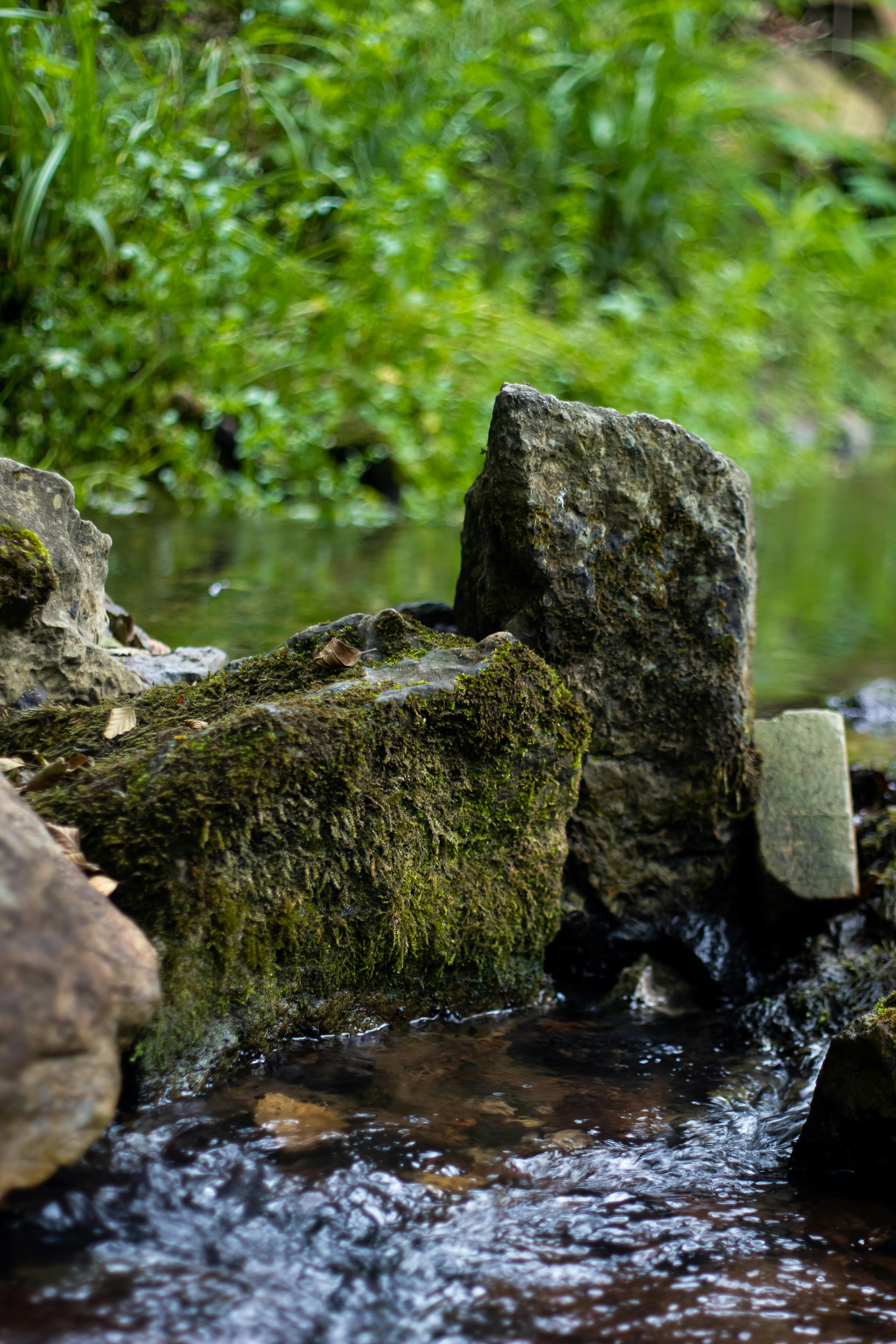 Fotografía De Larga Exposición De Un Arroyo · Foto de stock gratuita