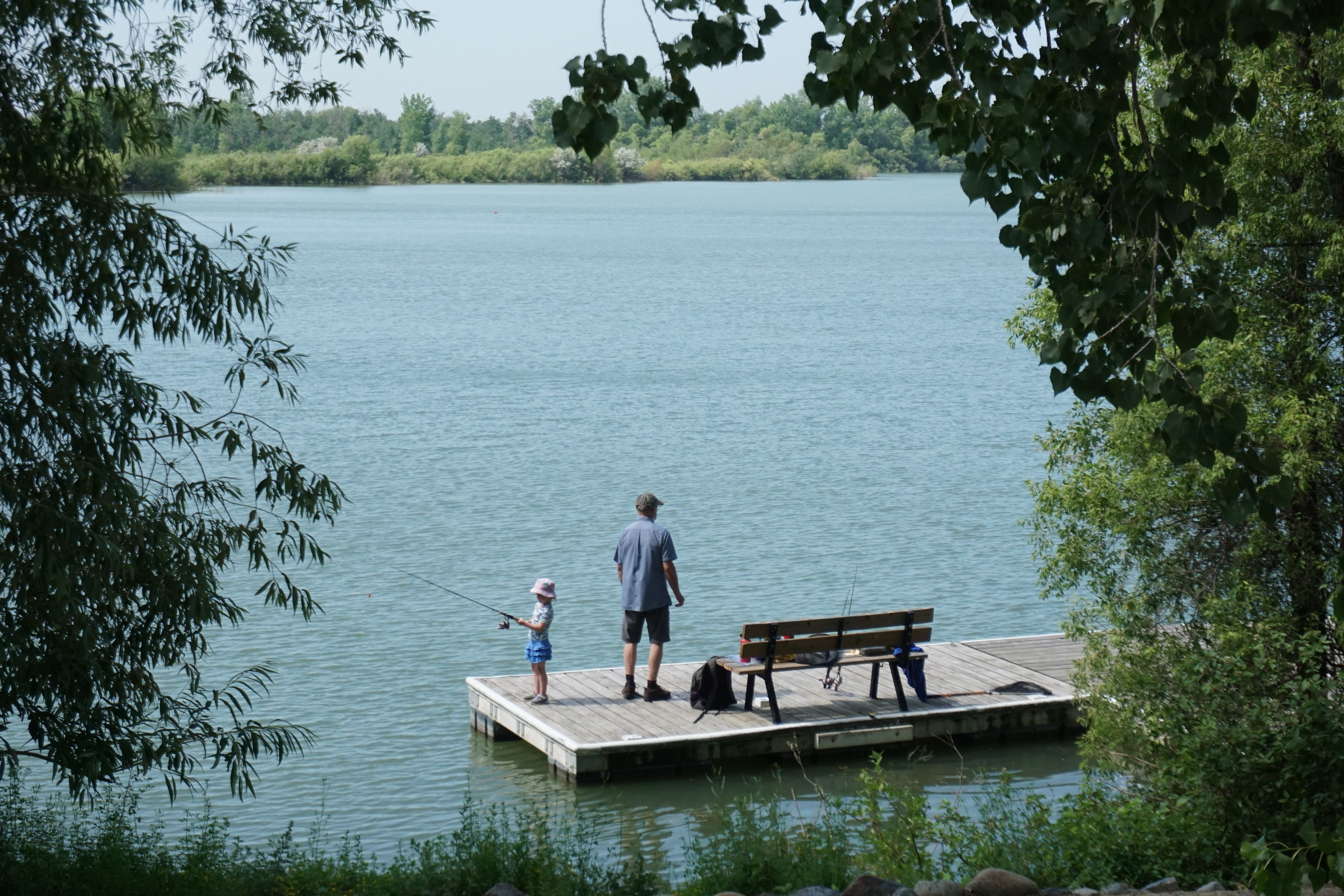 Park Fishing Dock Photos, Download The BEST Free Park Fishing Dock ...