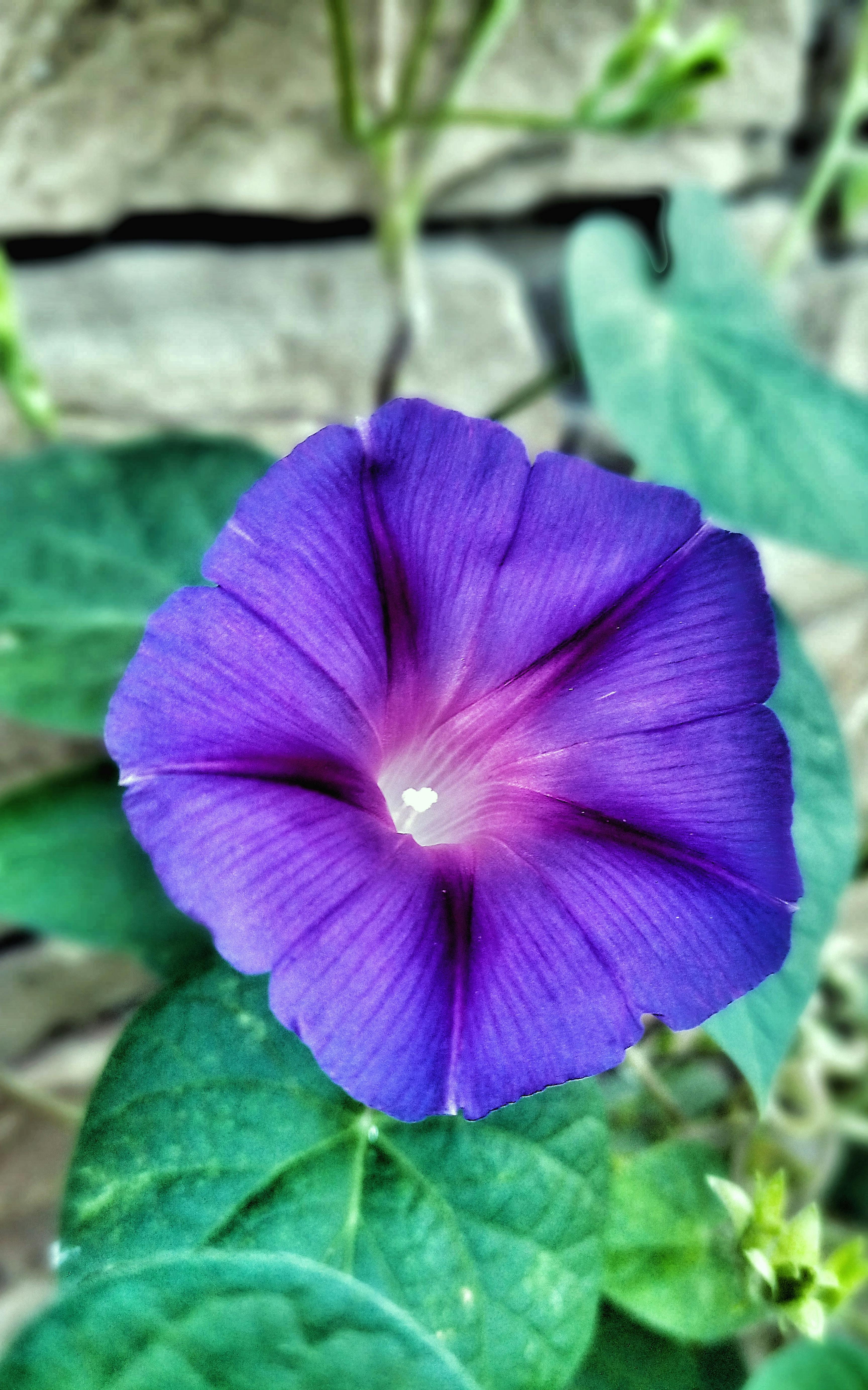 Jacob Riley - Fotografía