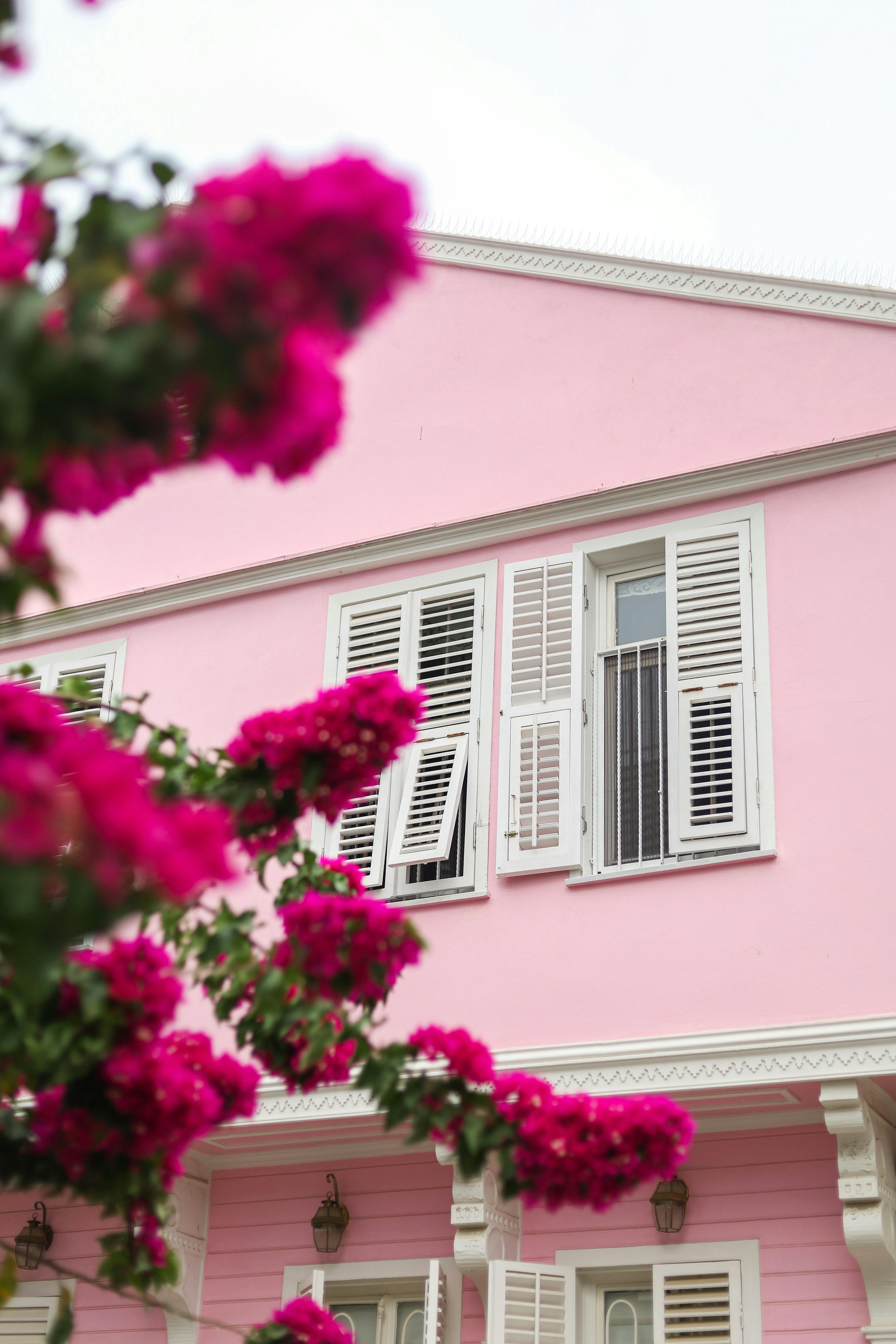 Foto profissional gratuita de aparência, área residencial, arquitetura ...