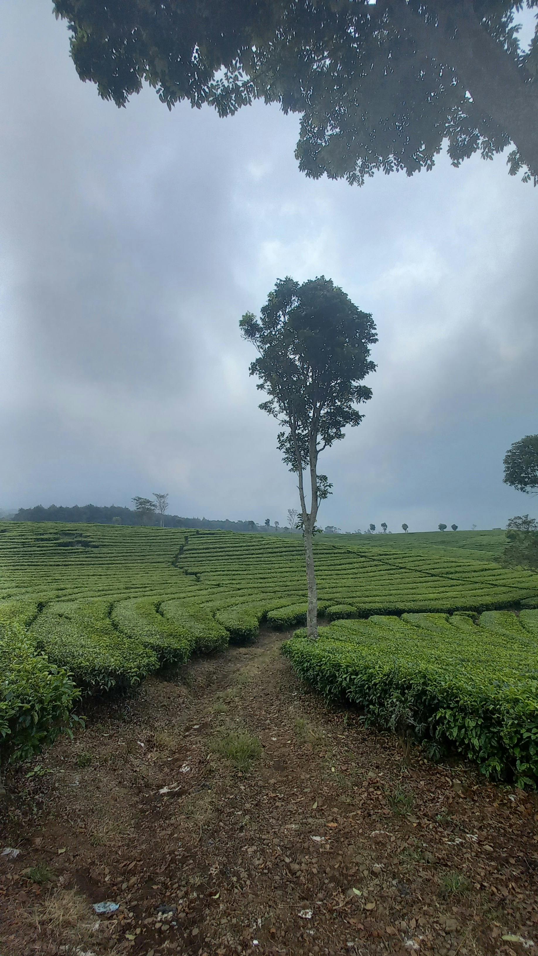 Adam Fairus - Fotografía