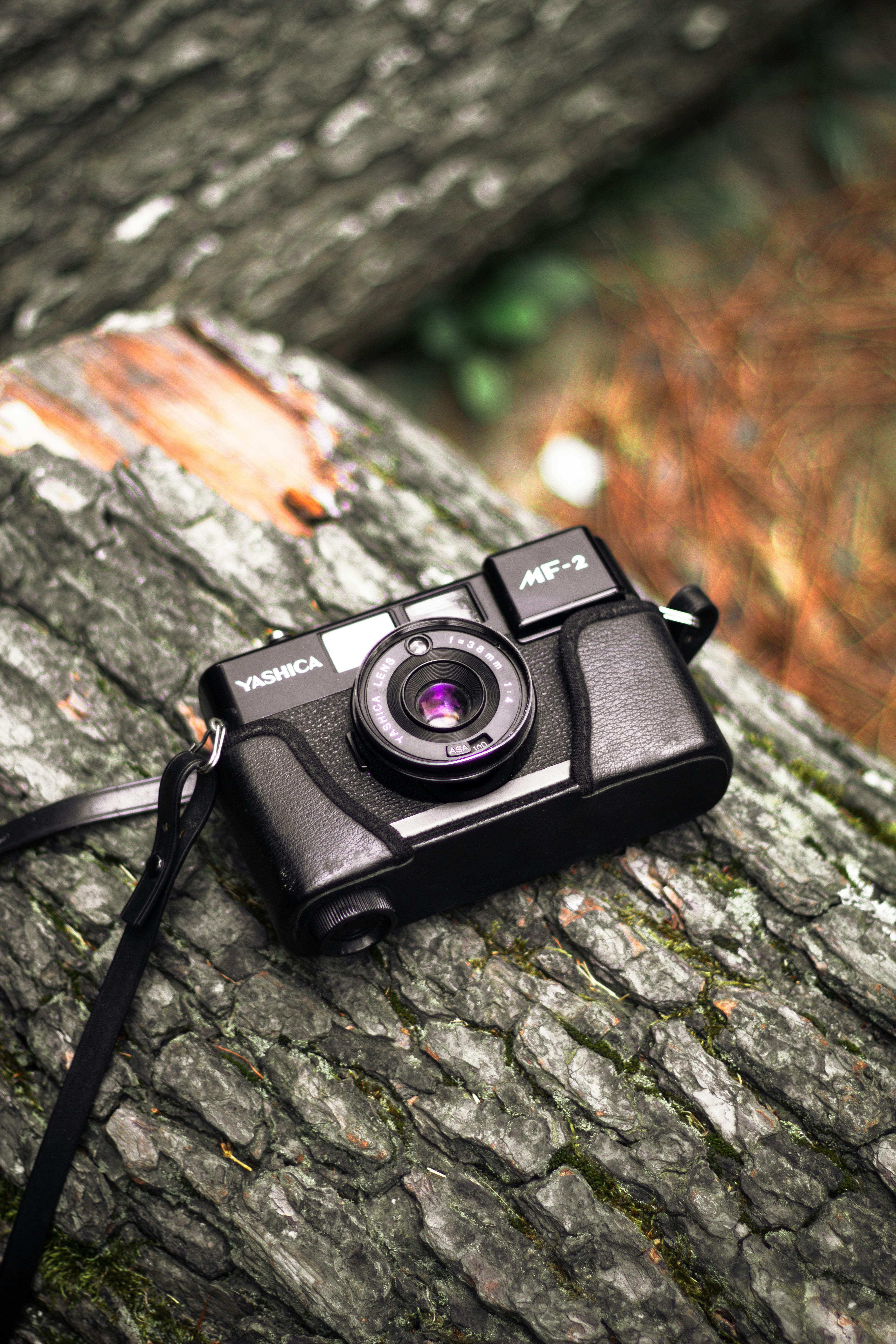 Camera on Tree Trunk · Free Stock Photo