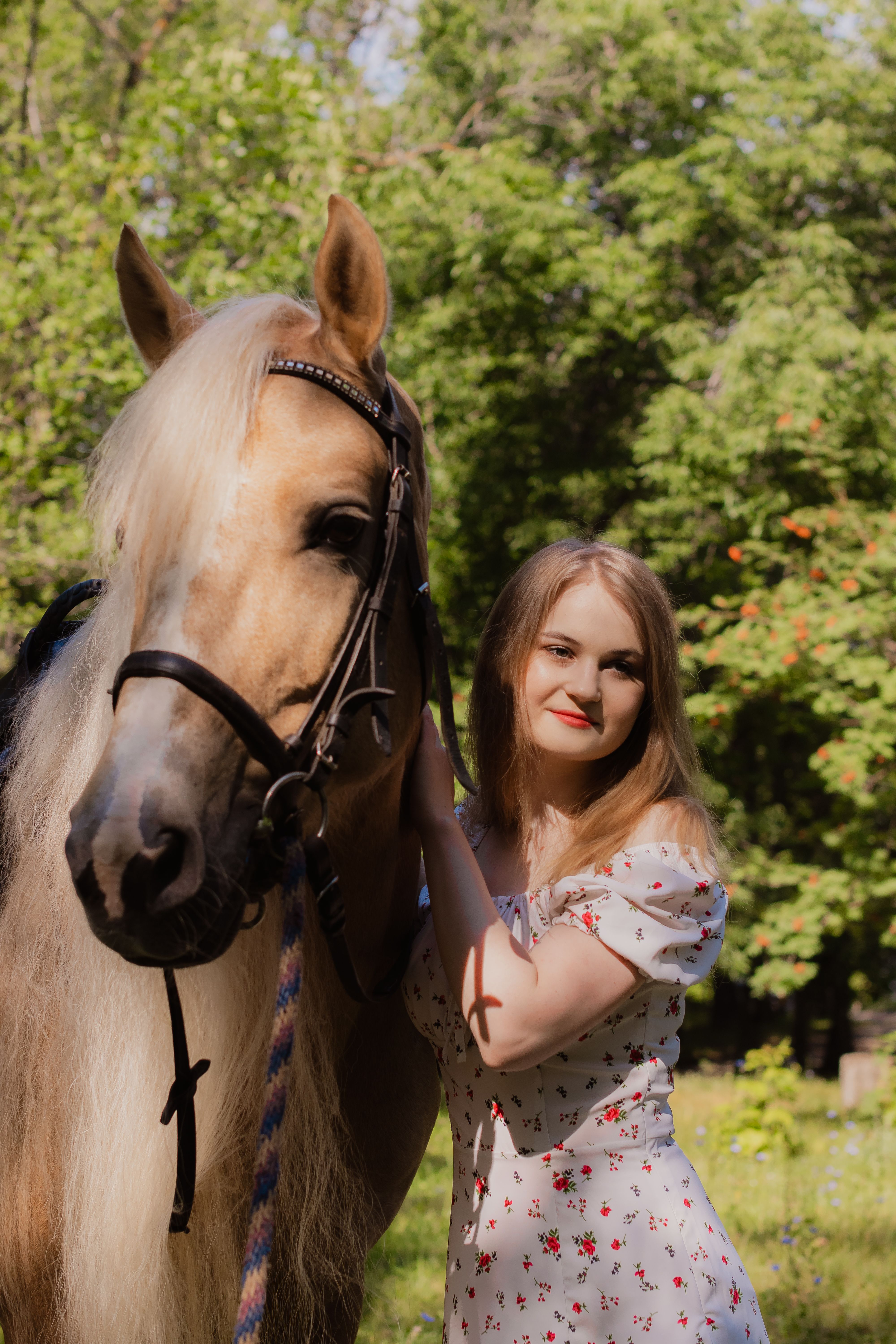 Check Mane Photos, Download The BEST Free Check Mane Stock Photos & HD ...