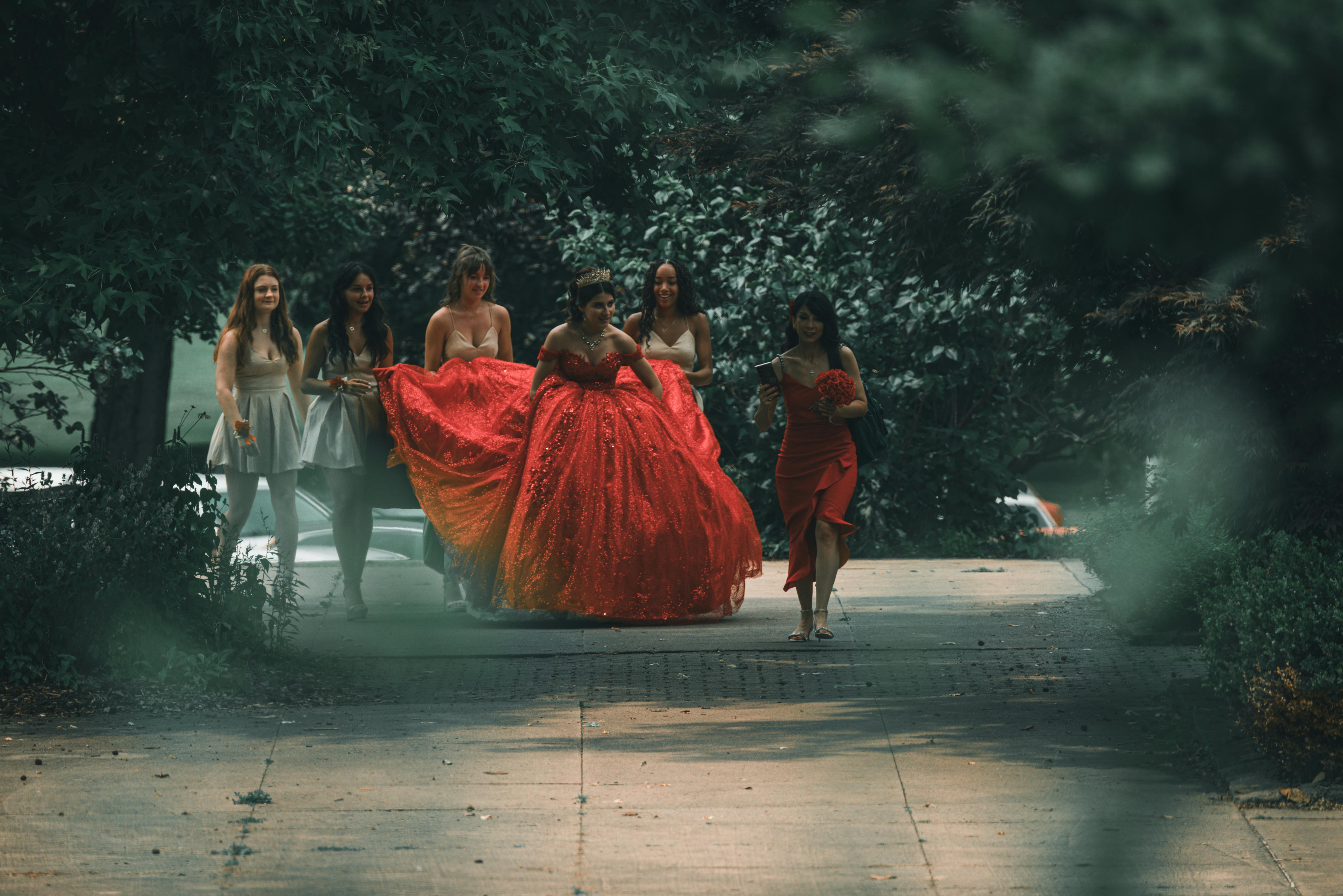 Pavement Cells Photos, Download The BEST Free Pavement Cells Stock ...