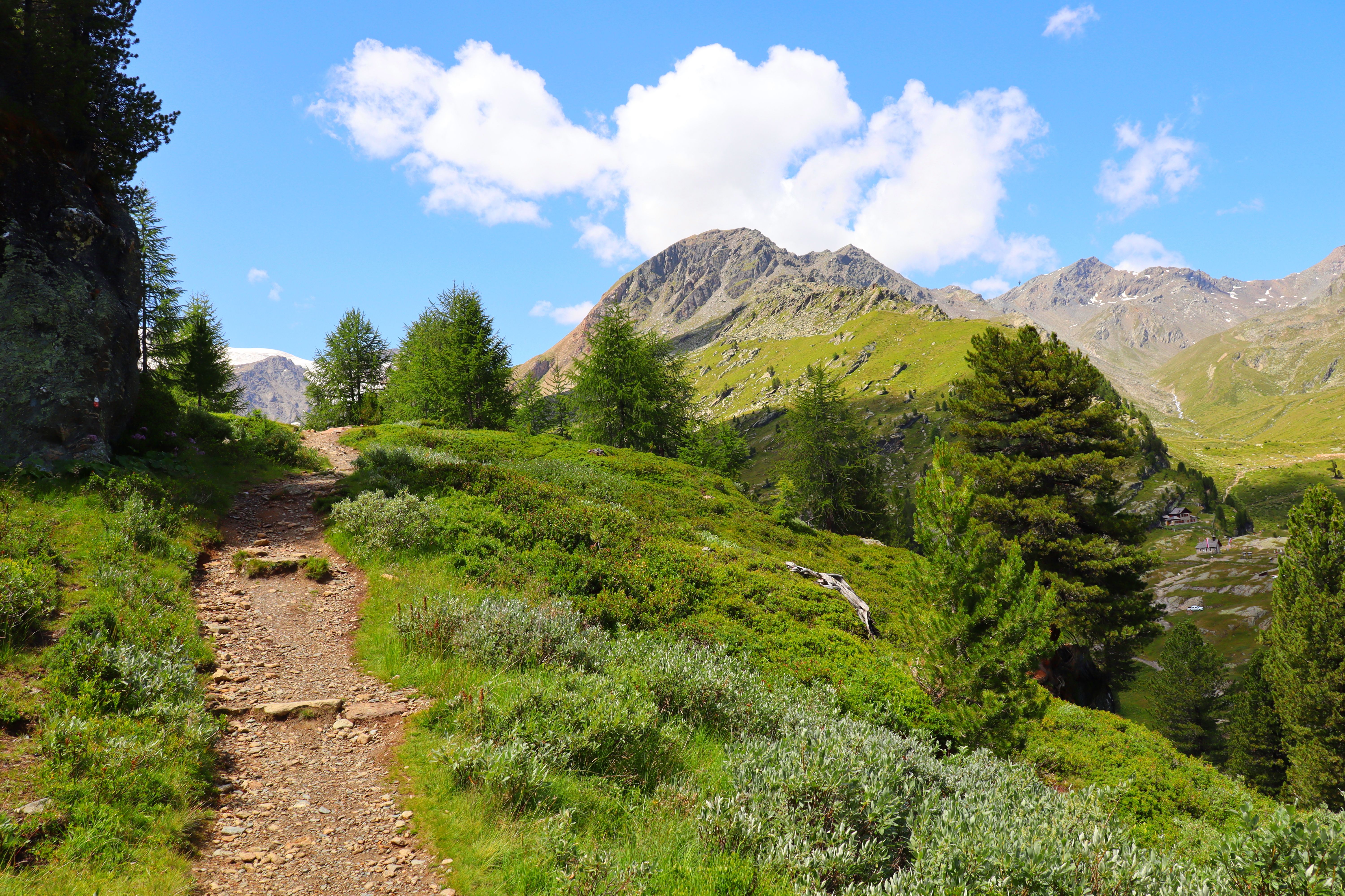 Pathway Leading up the Mountain · Free Stock Photo