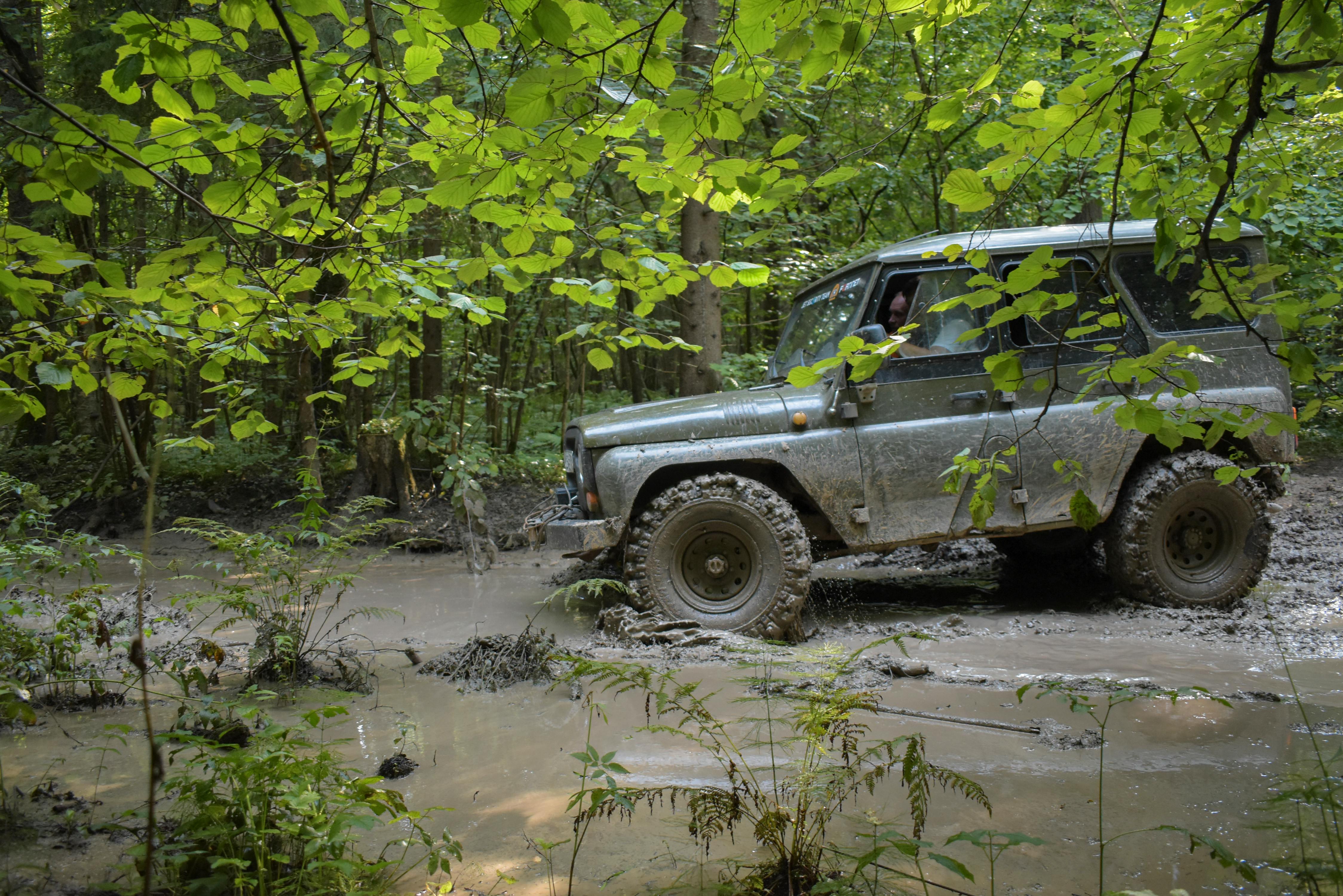 4x4 Vehicle on Swamp in Forest · Free Stock Photo