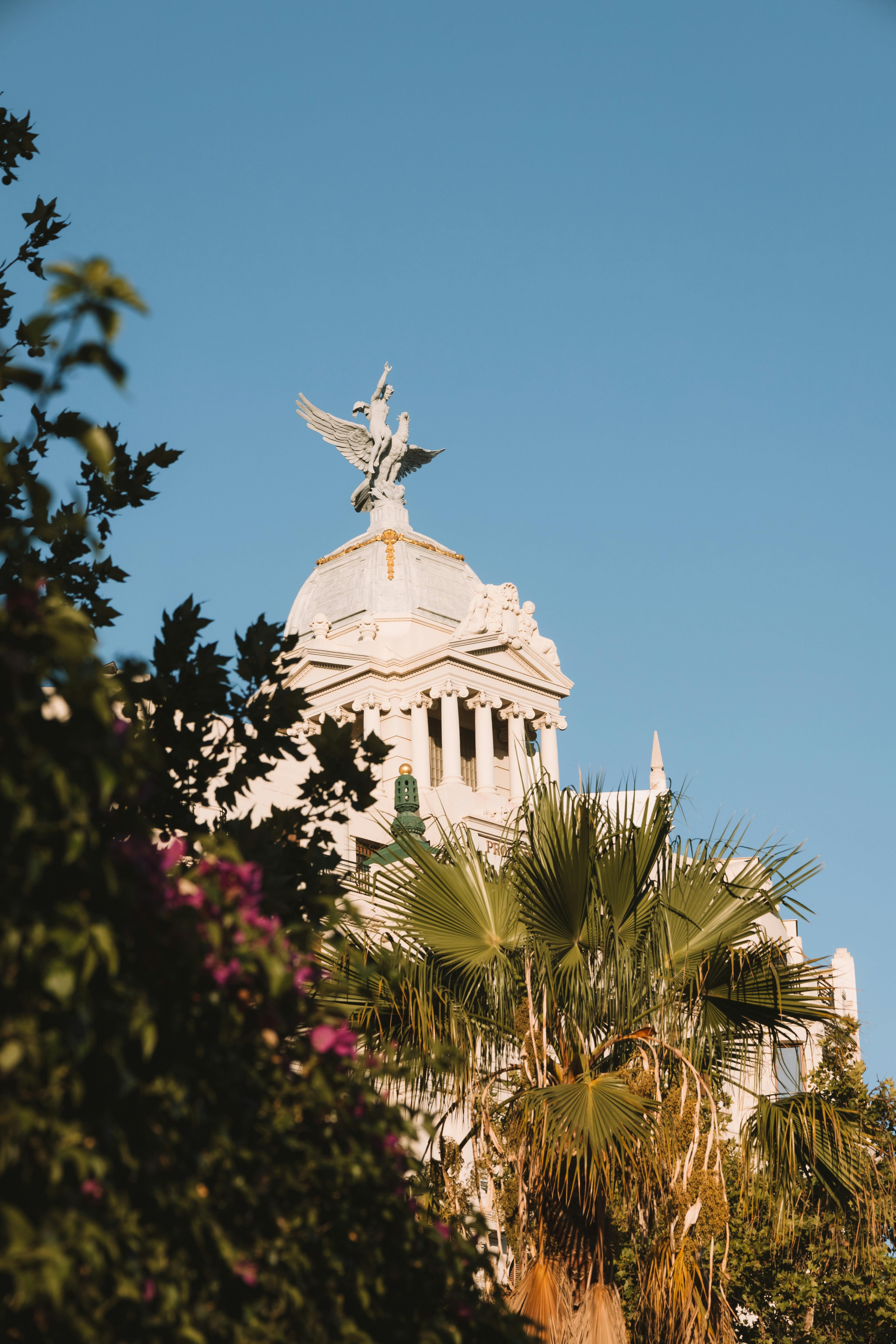 Phoenix Photos, Download The BEST Free Phoenix Stock Photos & HD Images