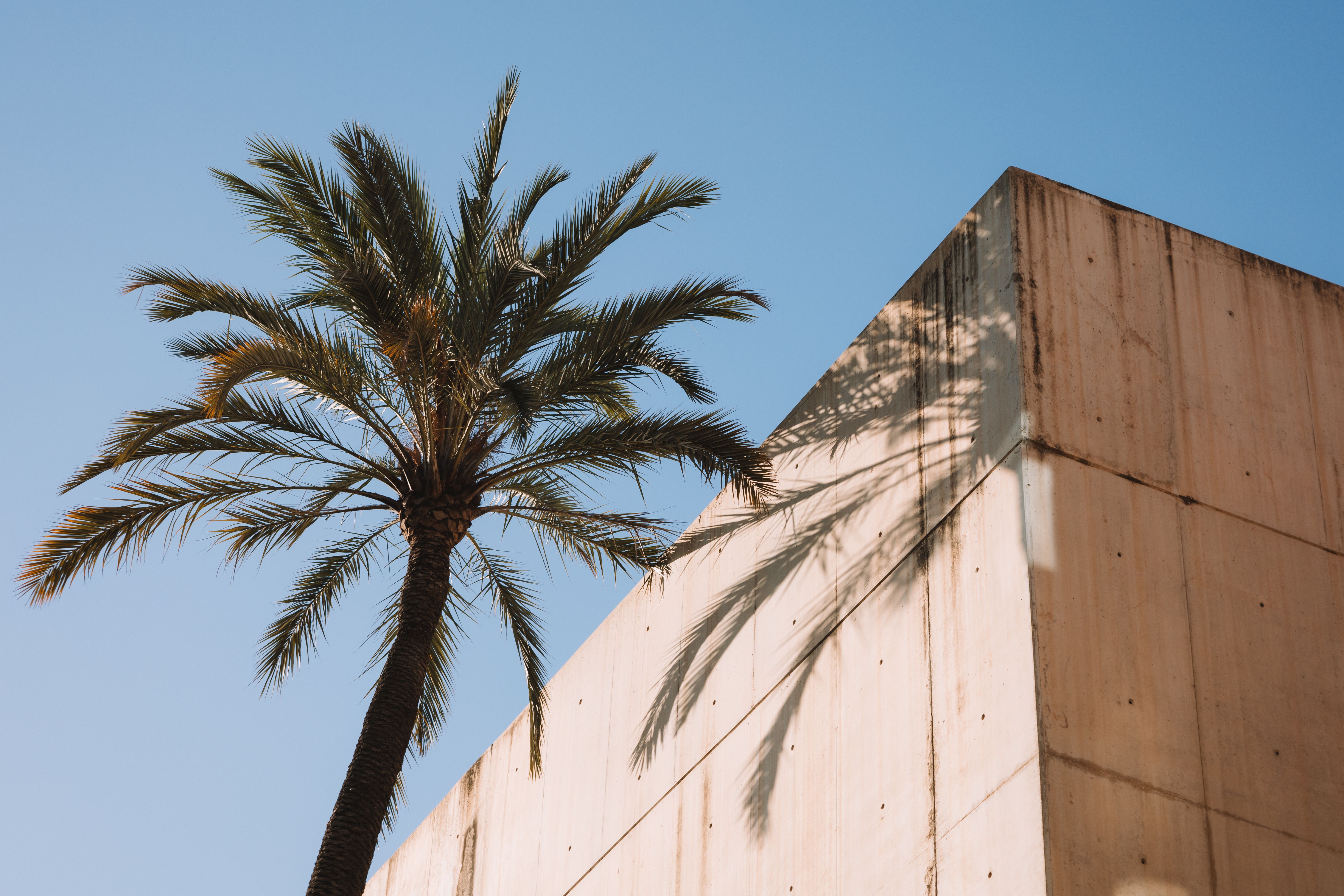 Modern Building Exterior With Clock Tower · Free Stock Photo