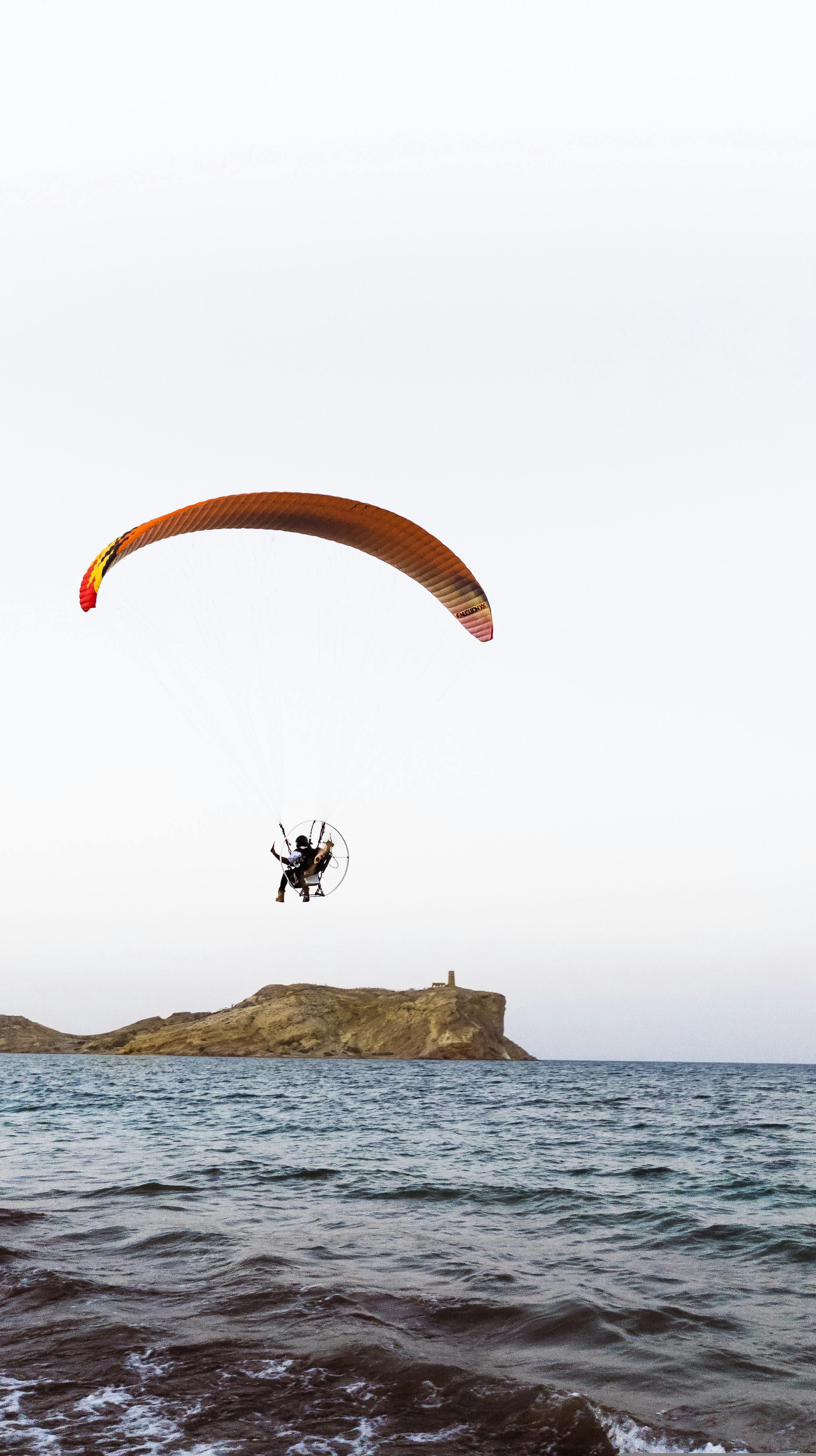 People Parachuting on Sea Coast · Free Stock Photo