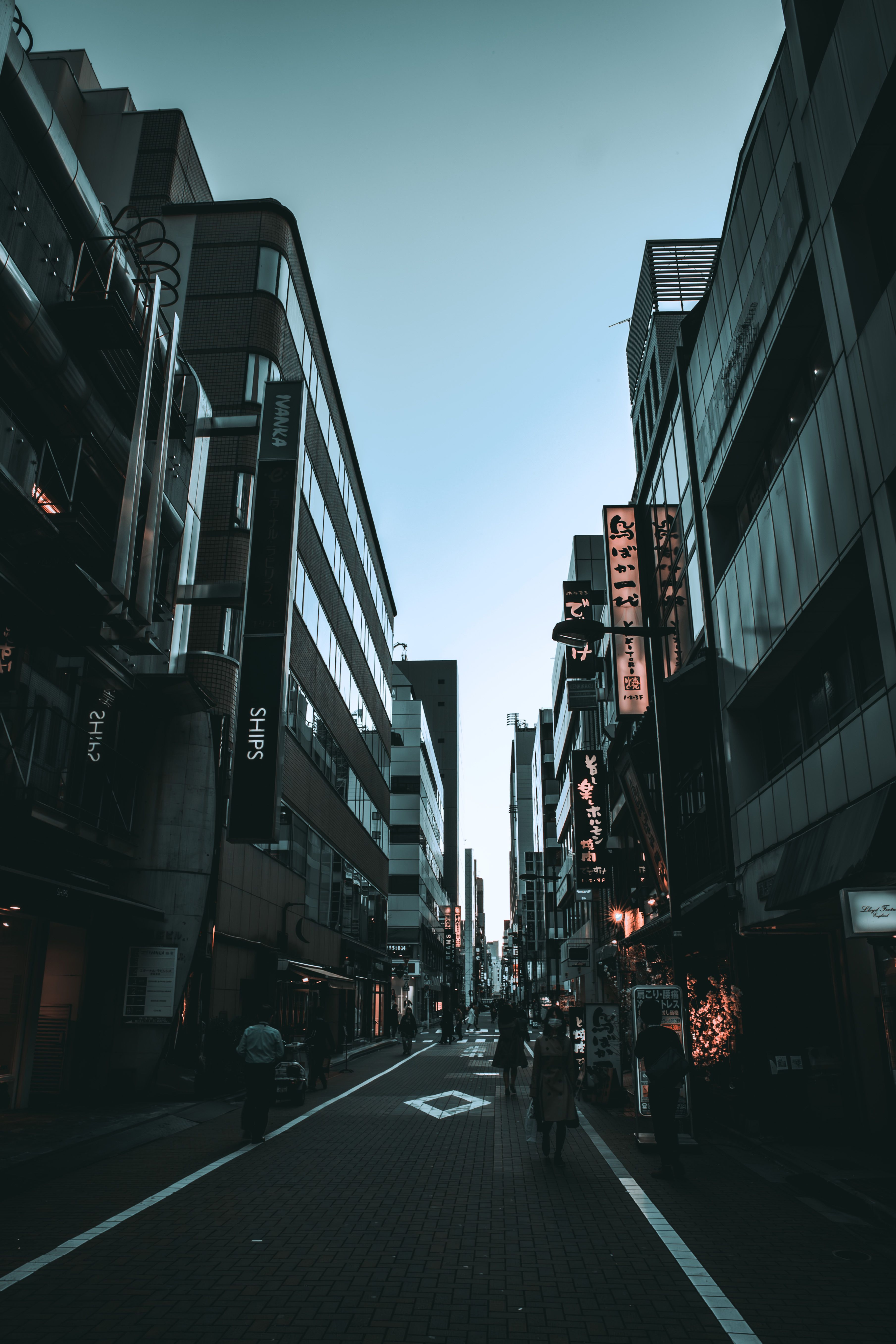 Paving Street in Residential District · Free Stock Photo