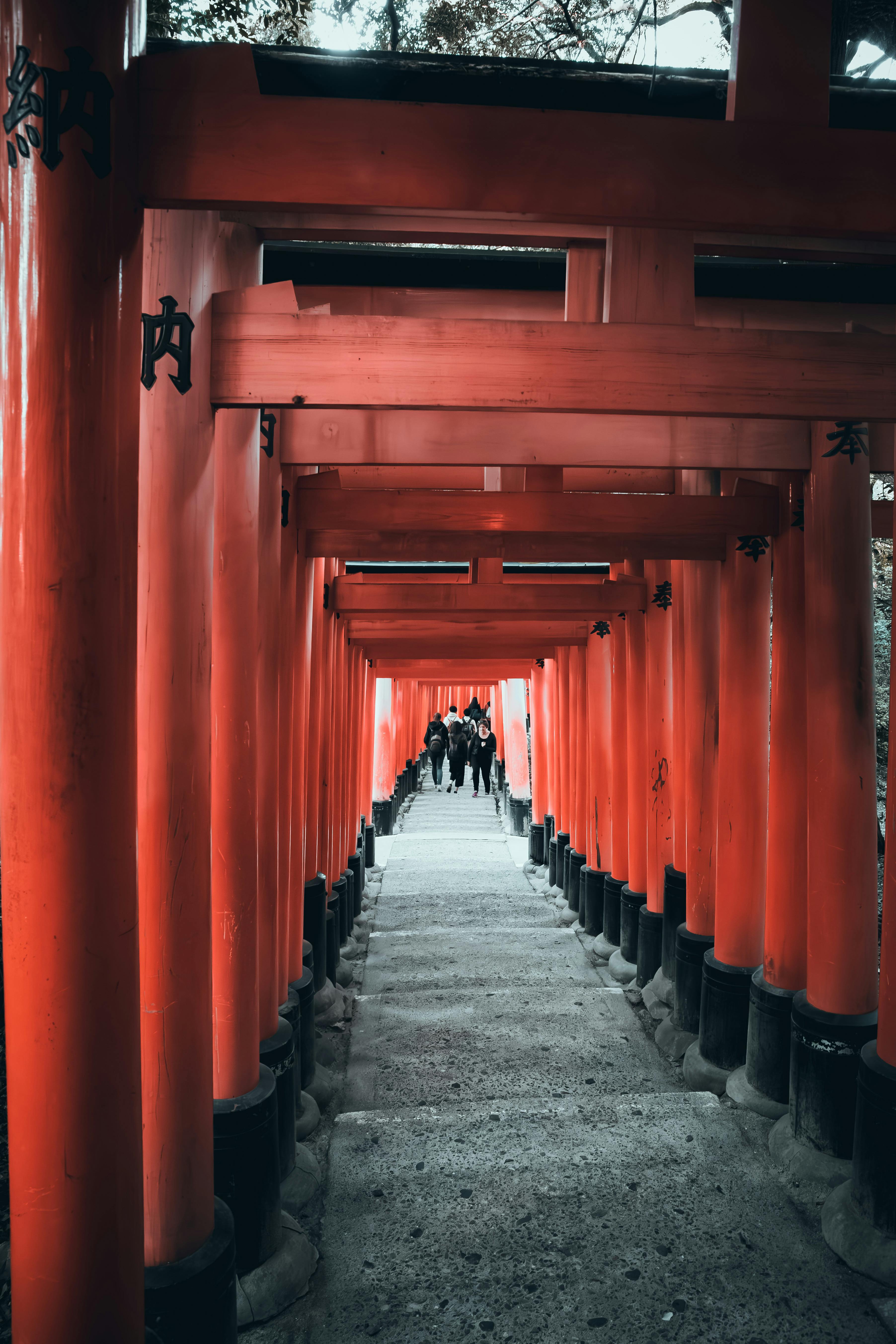 Torri Gate Tunnel in Tokyo · Free Stock Photo