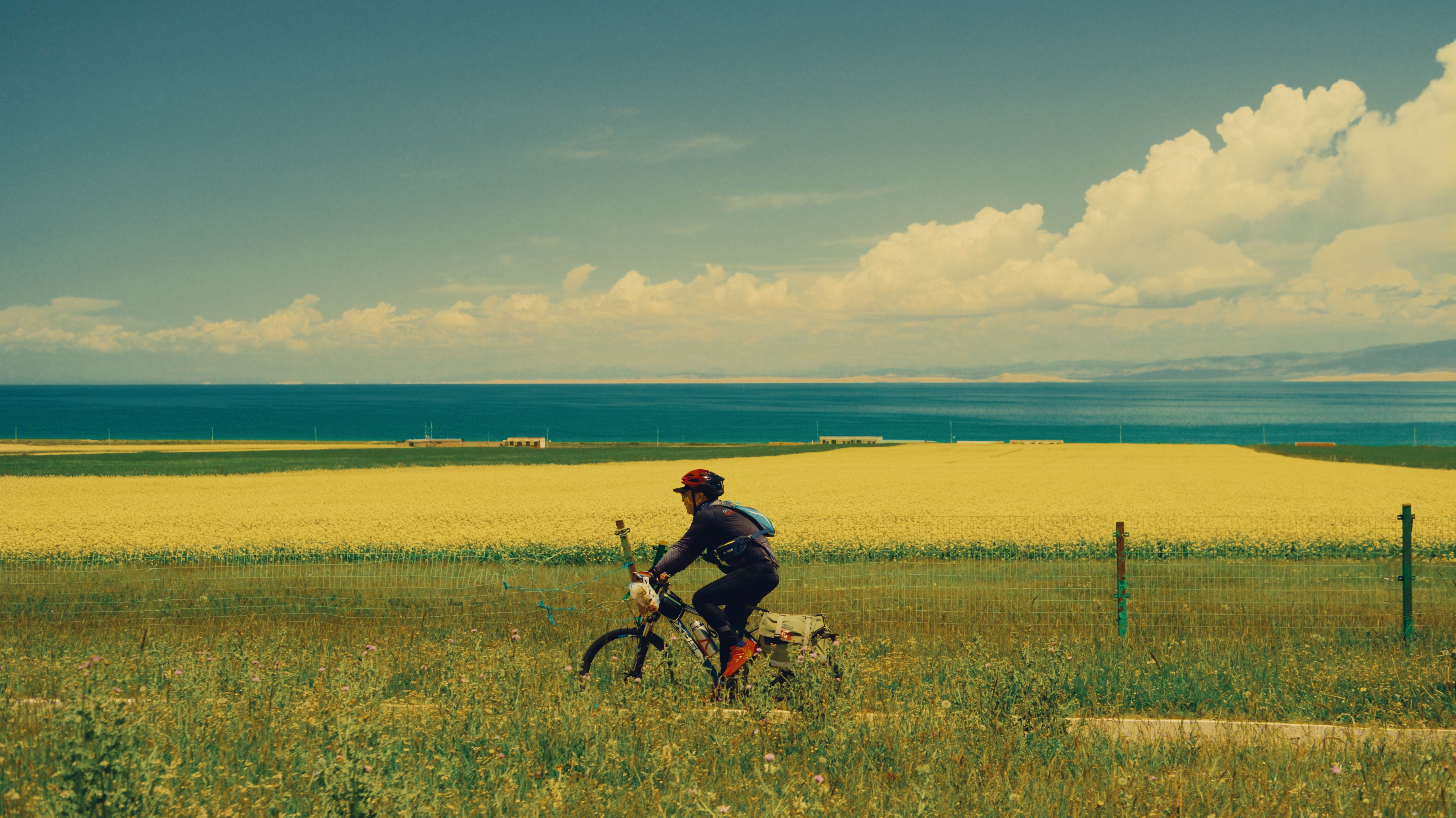 Person Riding Bike in Rural Landscape by Sea · Free Stock Photo
