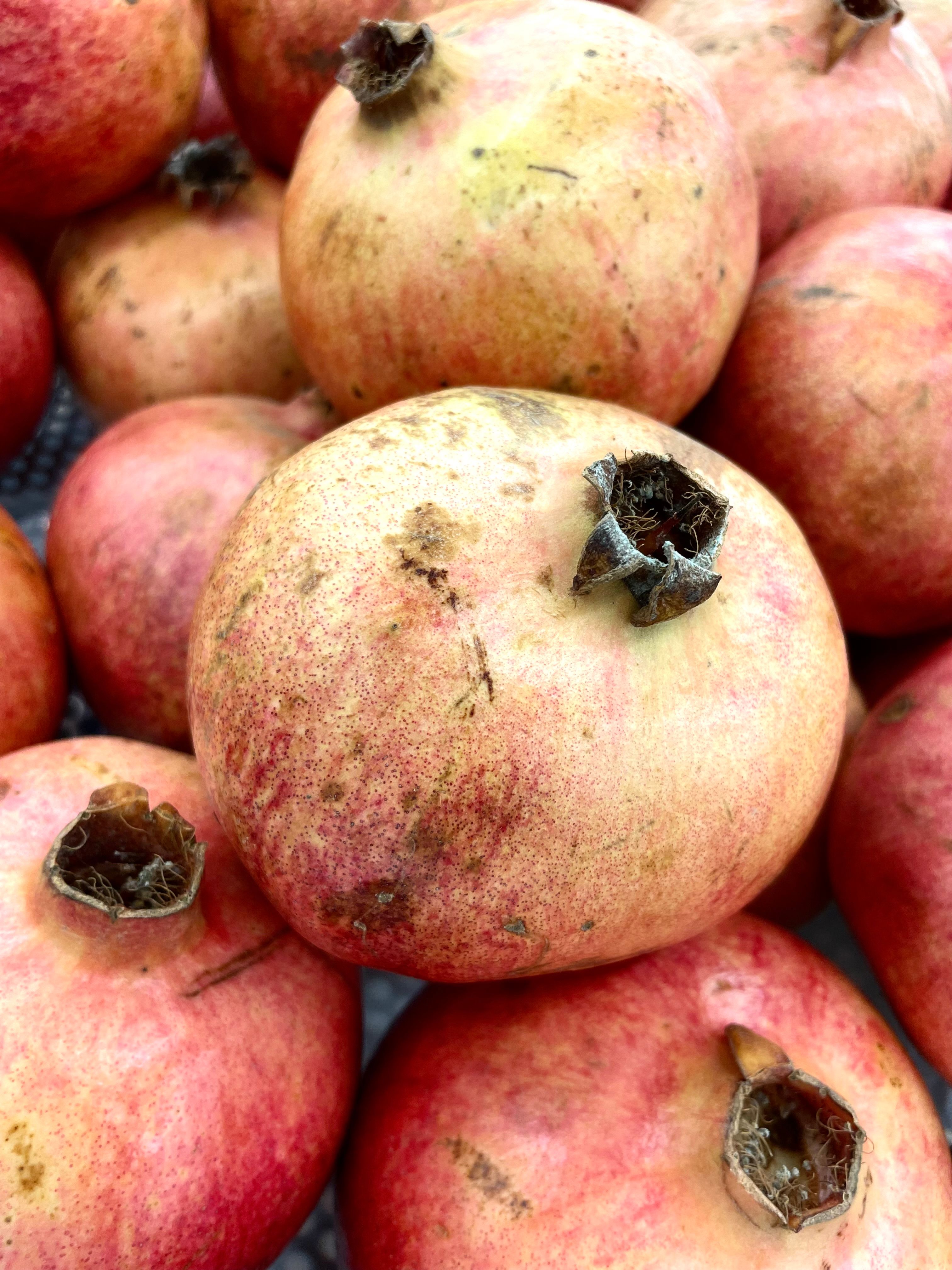 Close up of Pomegranates · Free Stock Photo