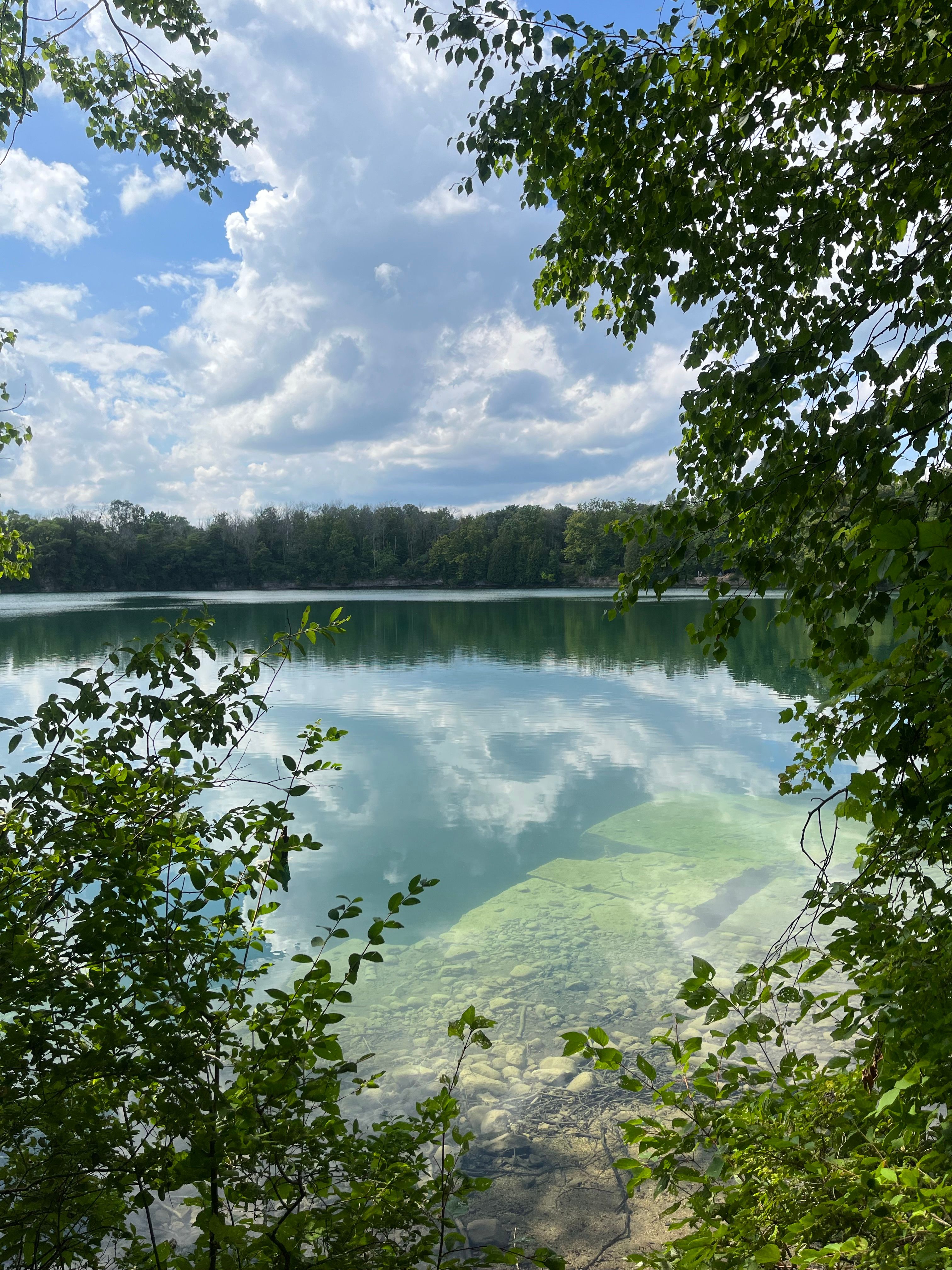 Green Forest around Lake · Free Stock Photo