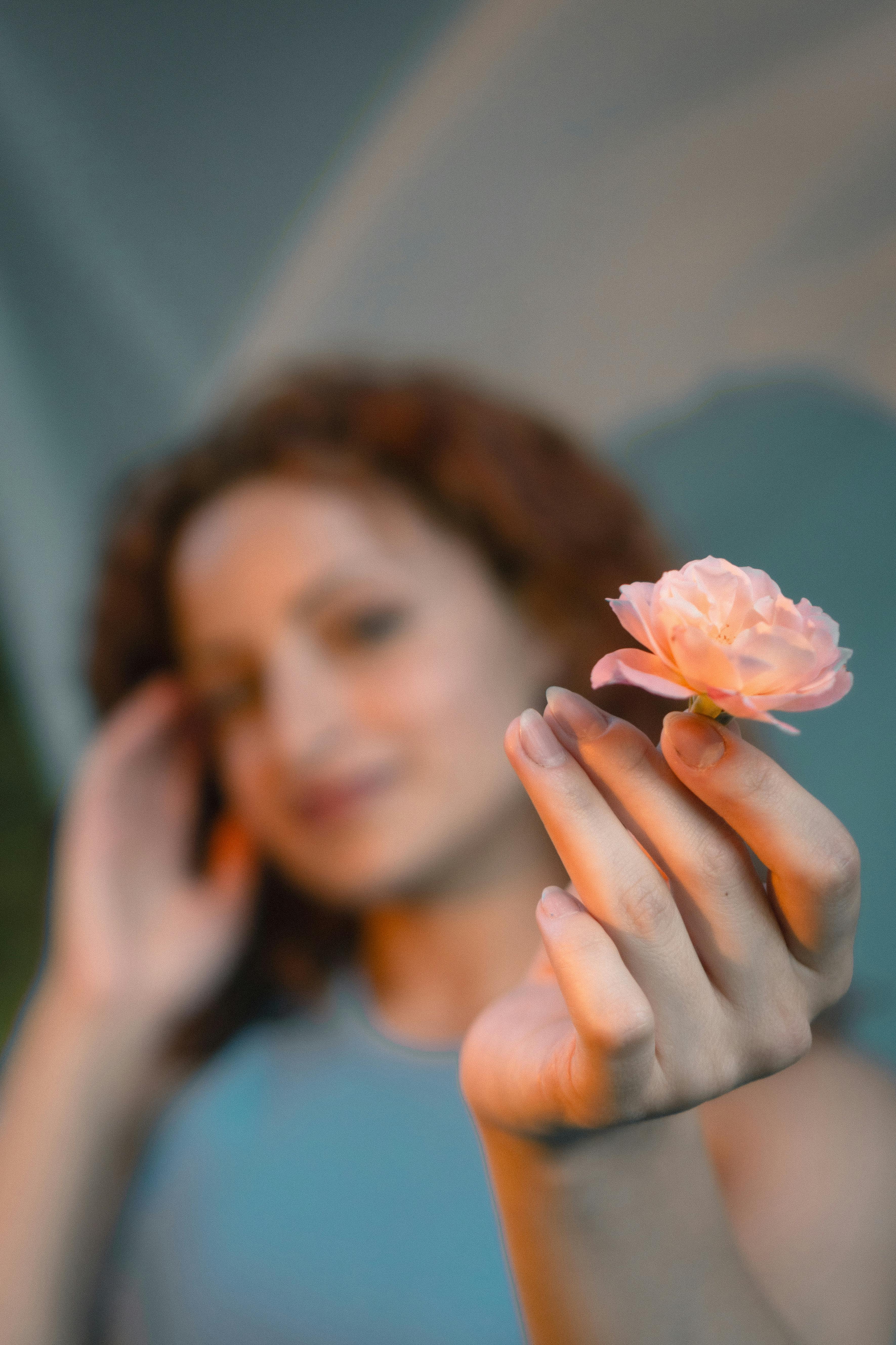 Flower in Woman Hand · Free Stock Photo