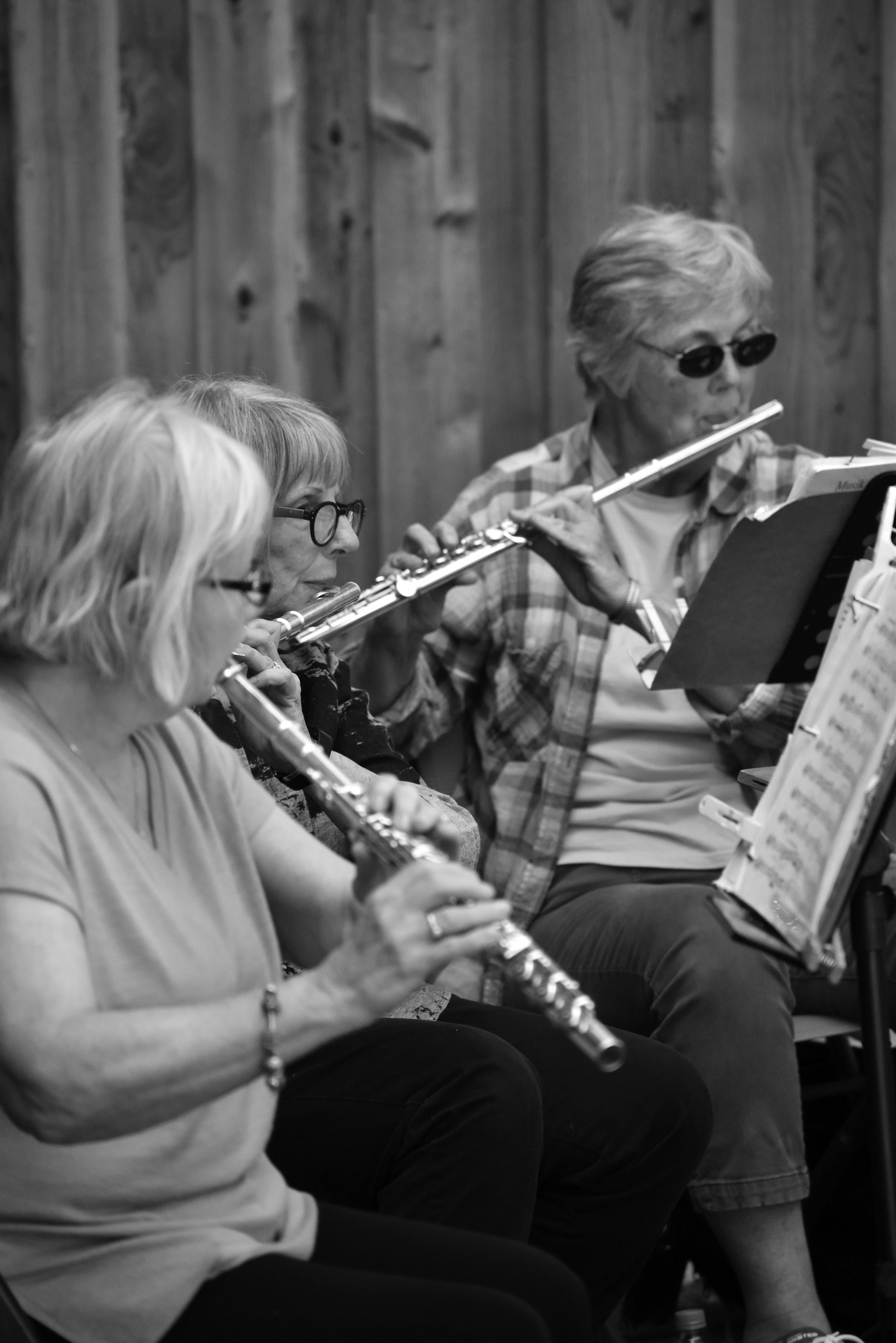 A Group of Elderly Women Playing Instruments · Free Stock Photo