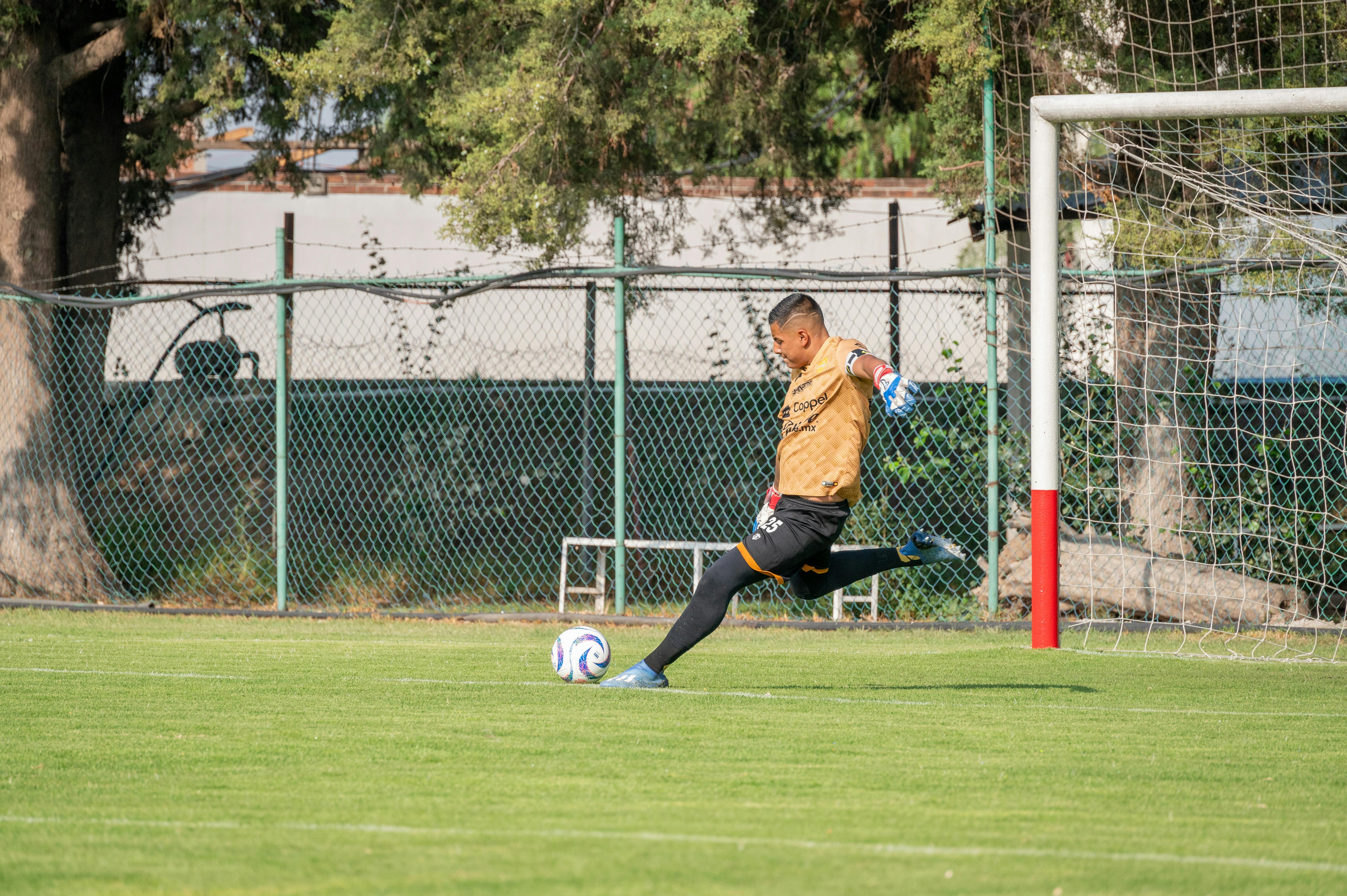 Goalkeeper Kicking the Soccer Ball during a Match · Free Stock Photo