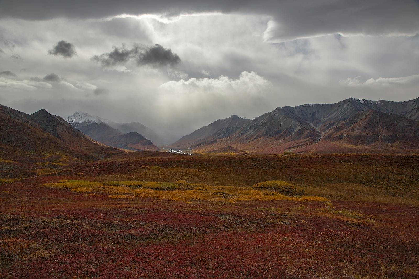 Tundra Landscape Photos, Download The BEST Free Tundra Landscape Stock ...