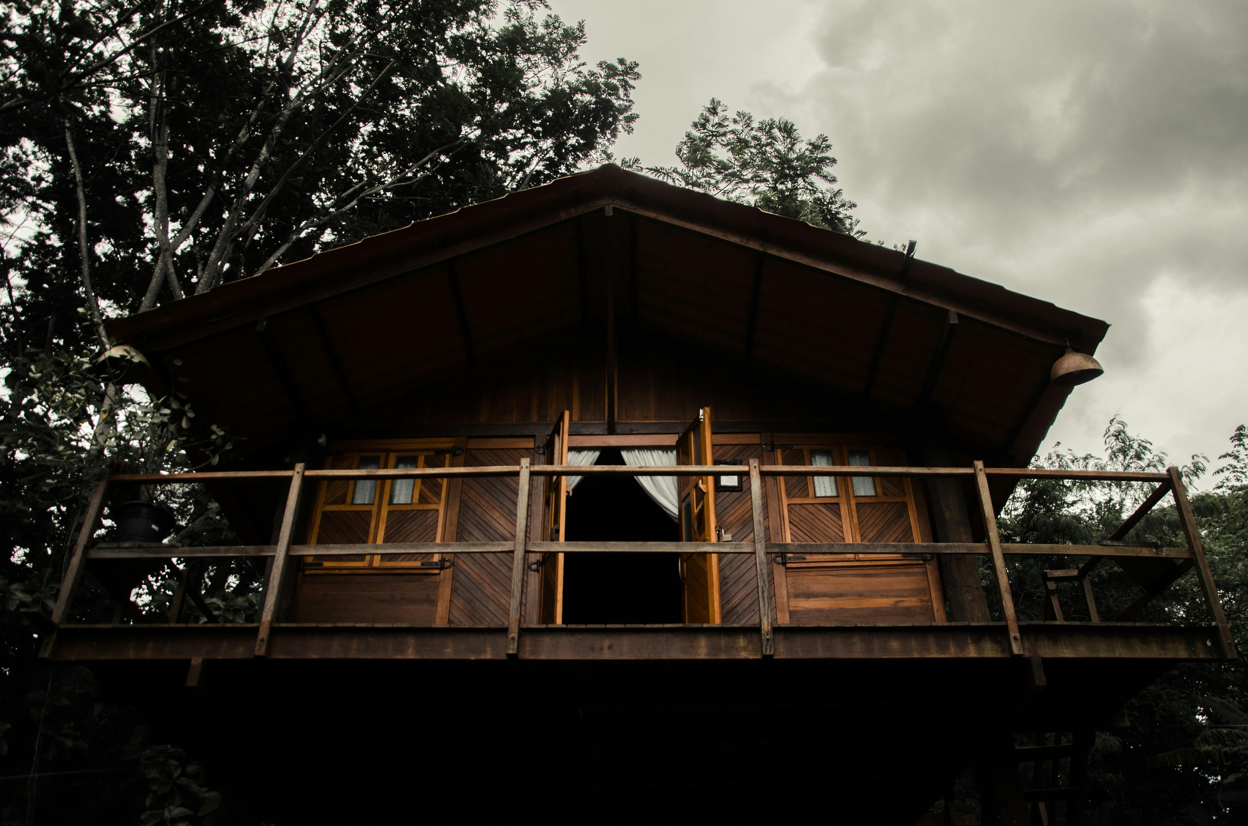 Brown Cabin · Free Stock Photo