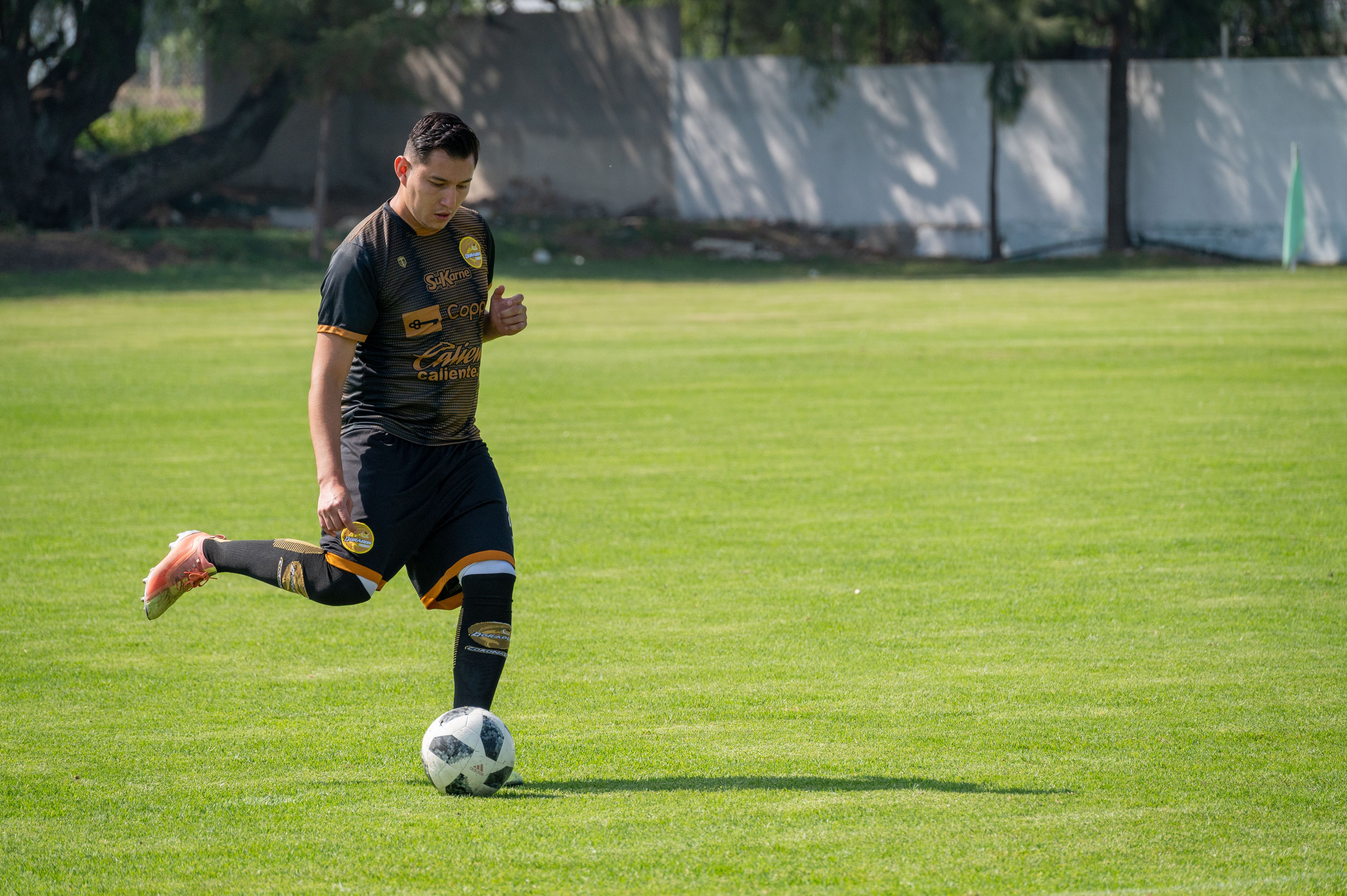 Mid Kick Photos, Download The BEST Free Mid Kick Stock Photos & HD Images