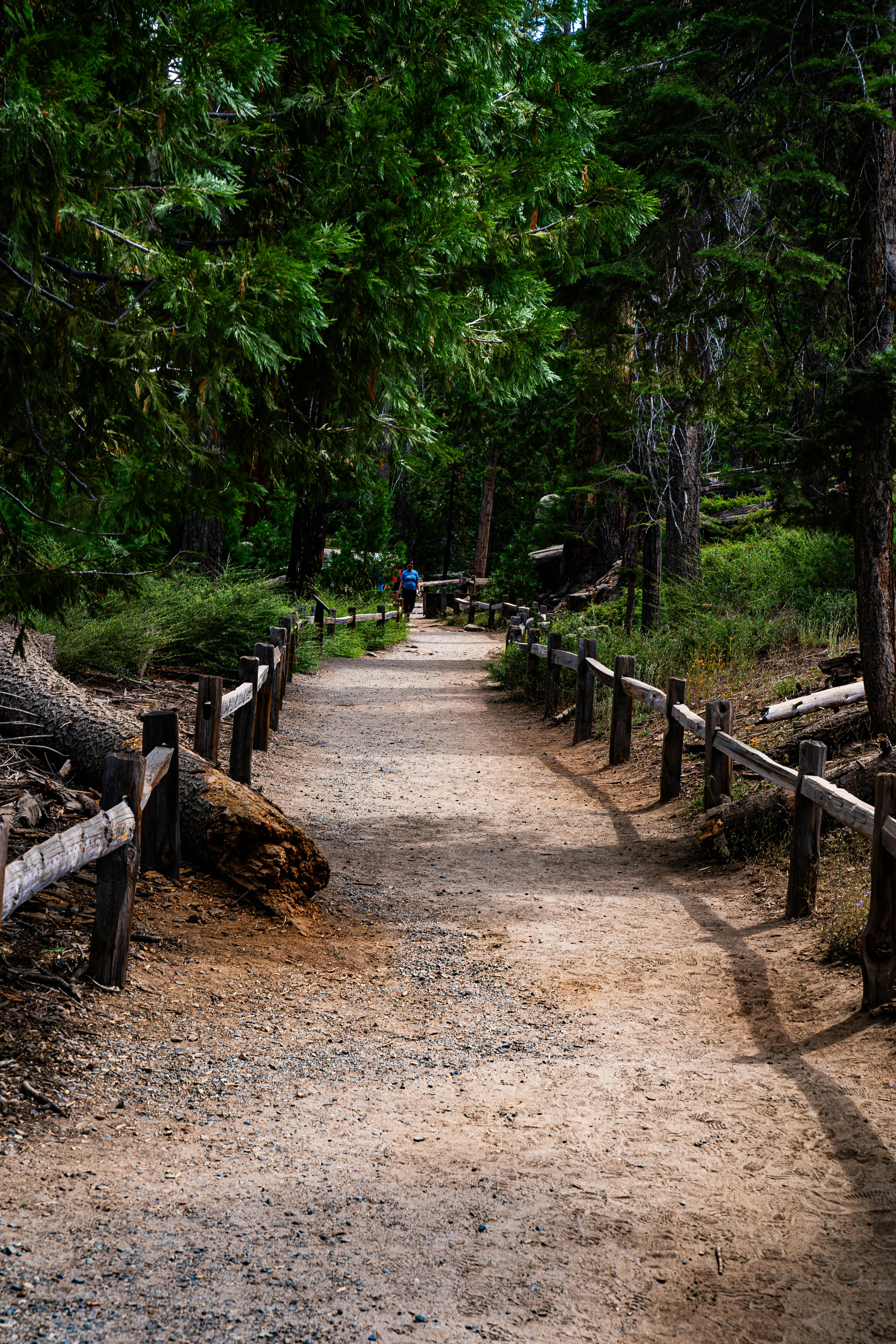 One Blue Fire Studio - Photography