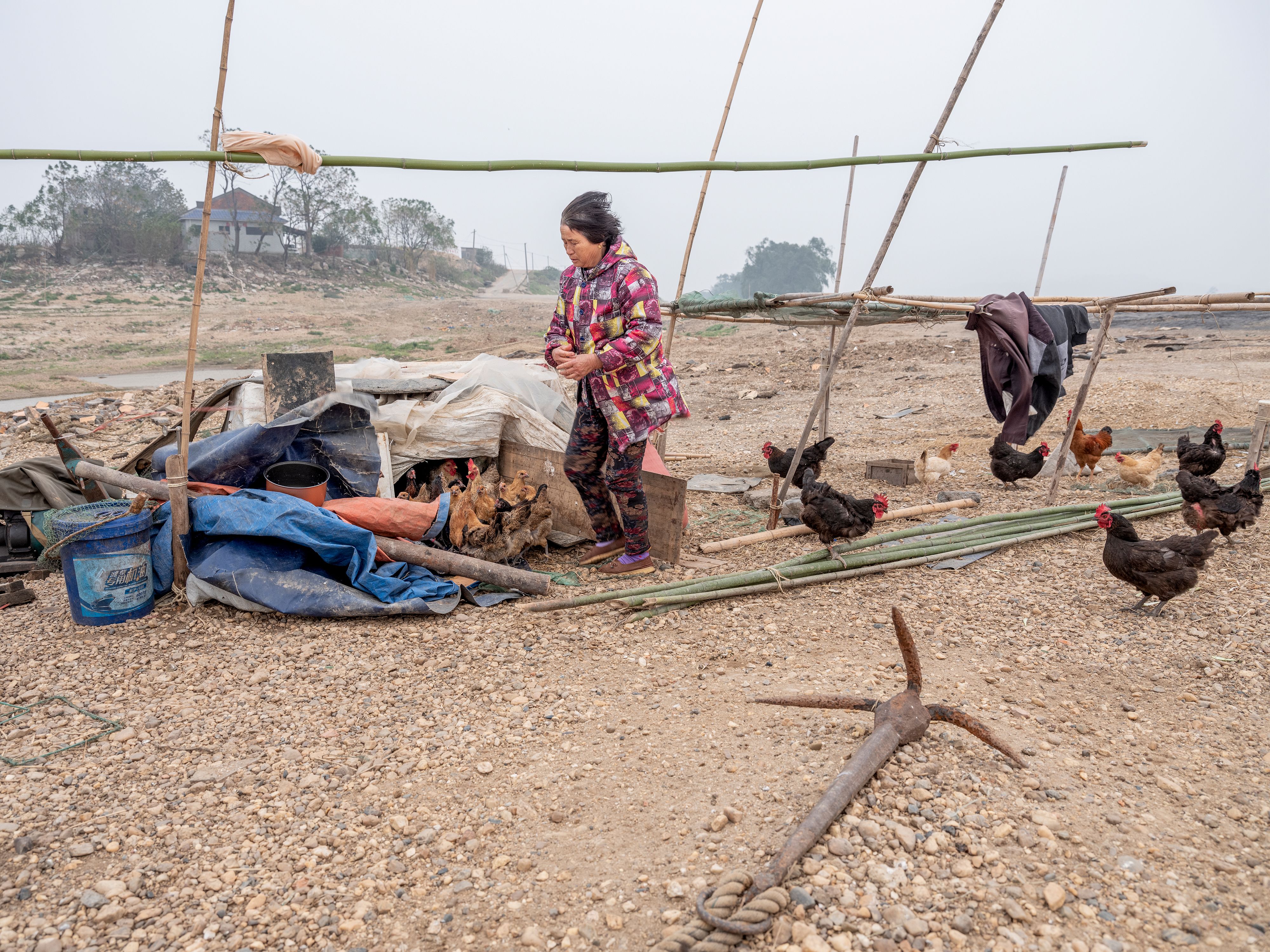 Woman and Hens in Village · Free Stock Photo