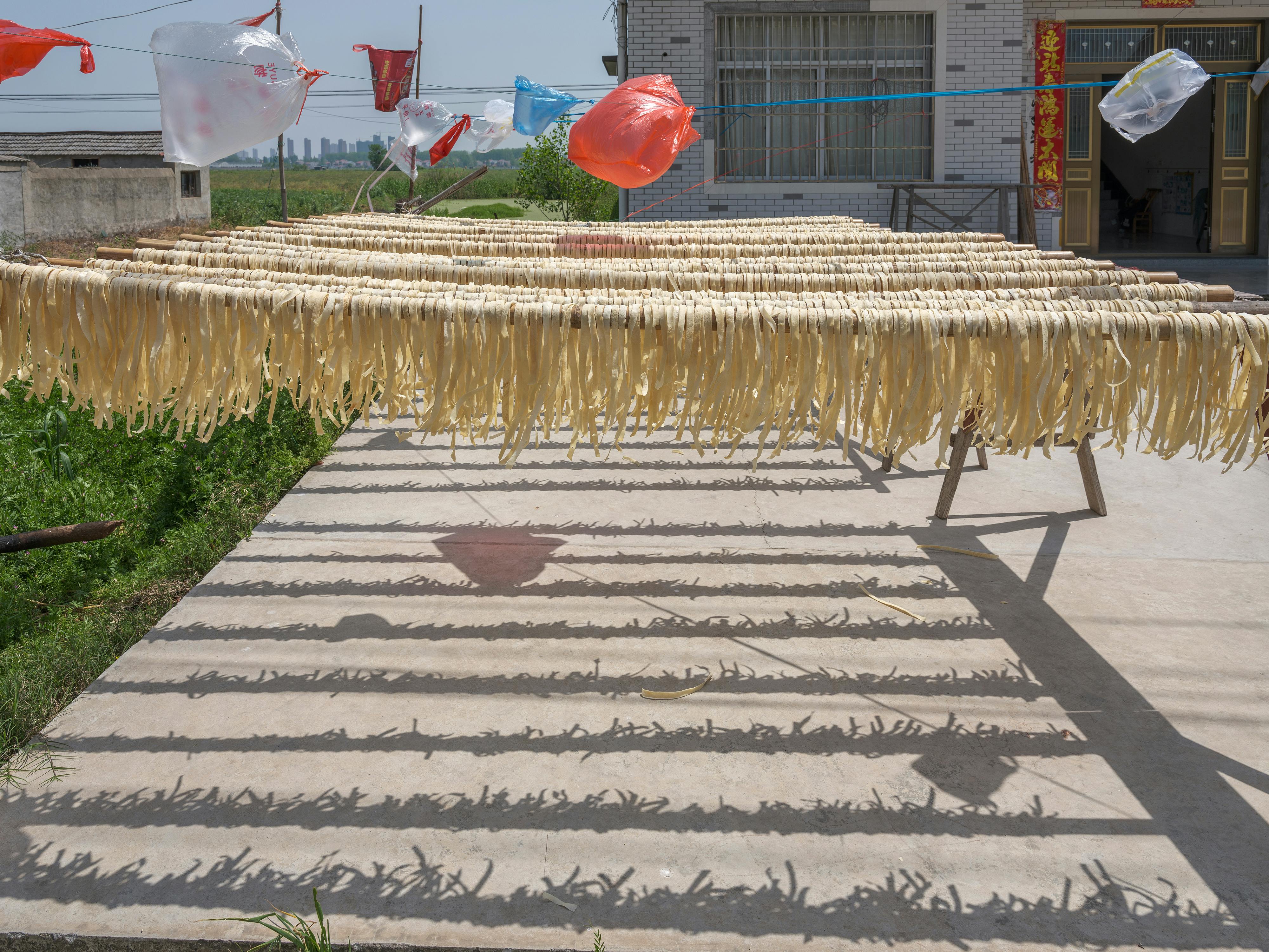 Village Setup Photos, Download The BEST Free Village Setup Stock Photos ...