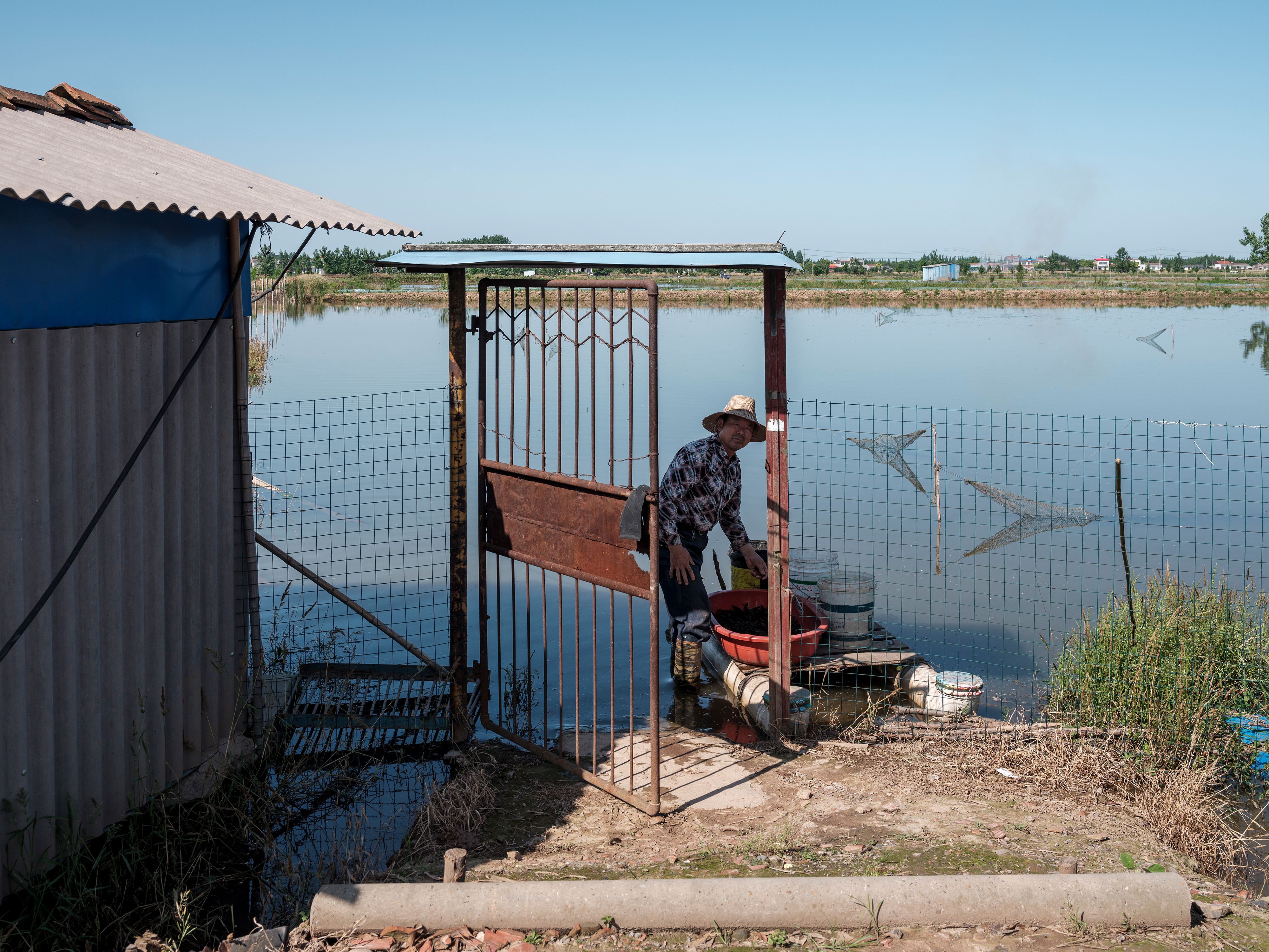 A man is standing on a dock near a body of water · Free Stock Photo