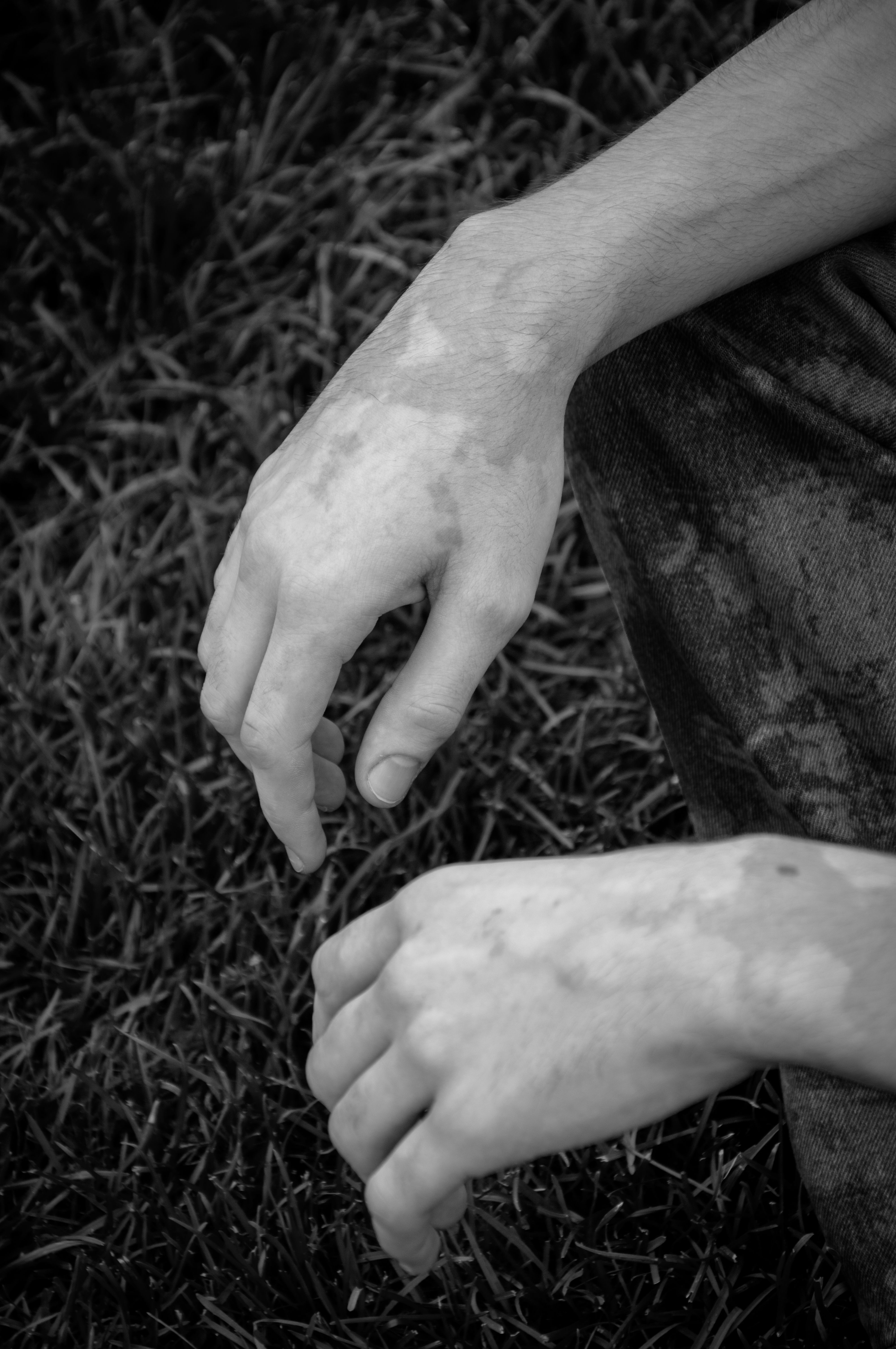 Hand over Grass · Free Stock Photo