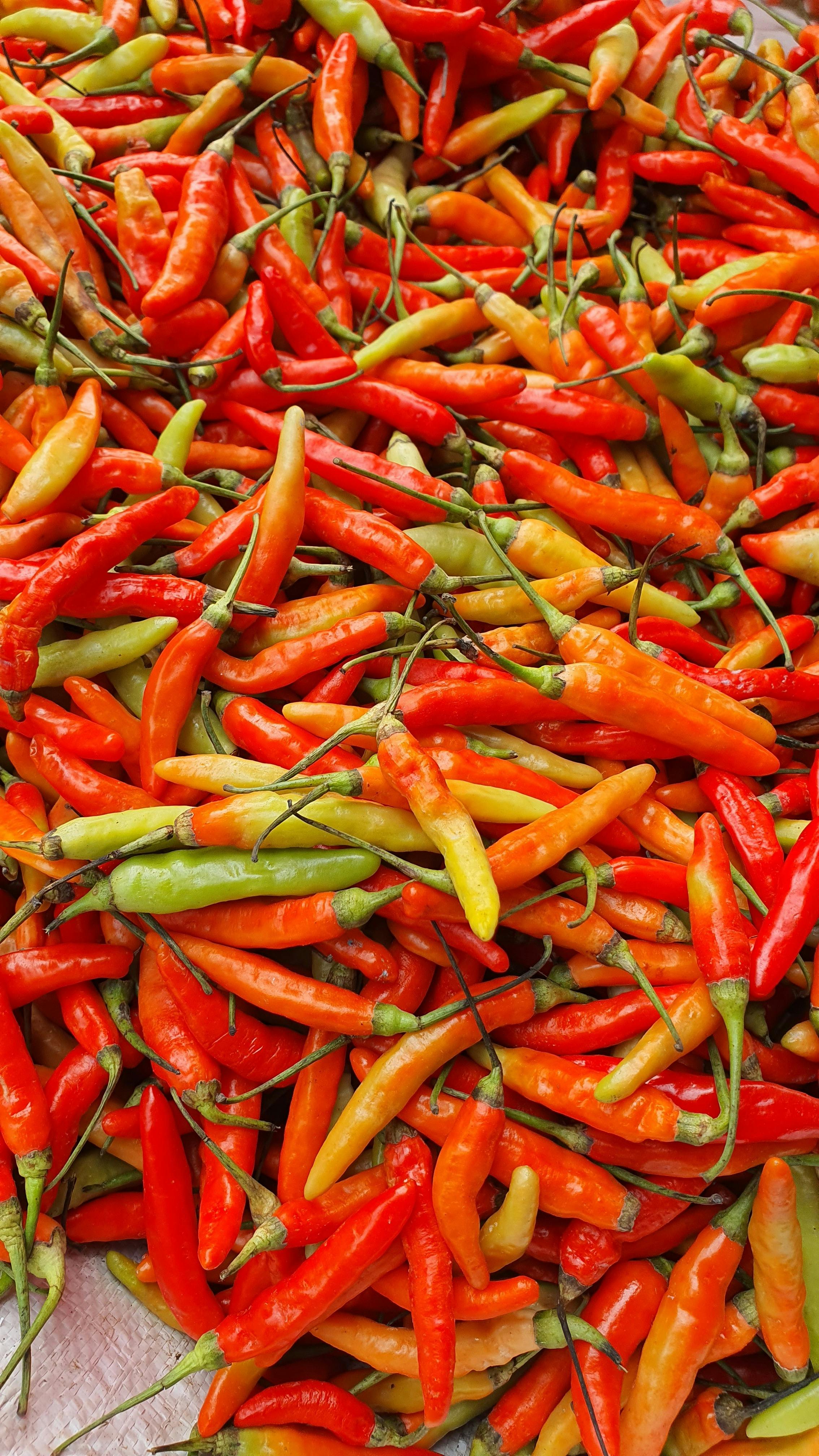 Pile of Chili Peppers · Free Stock Photo