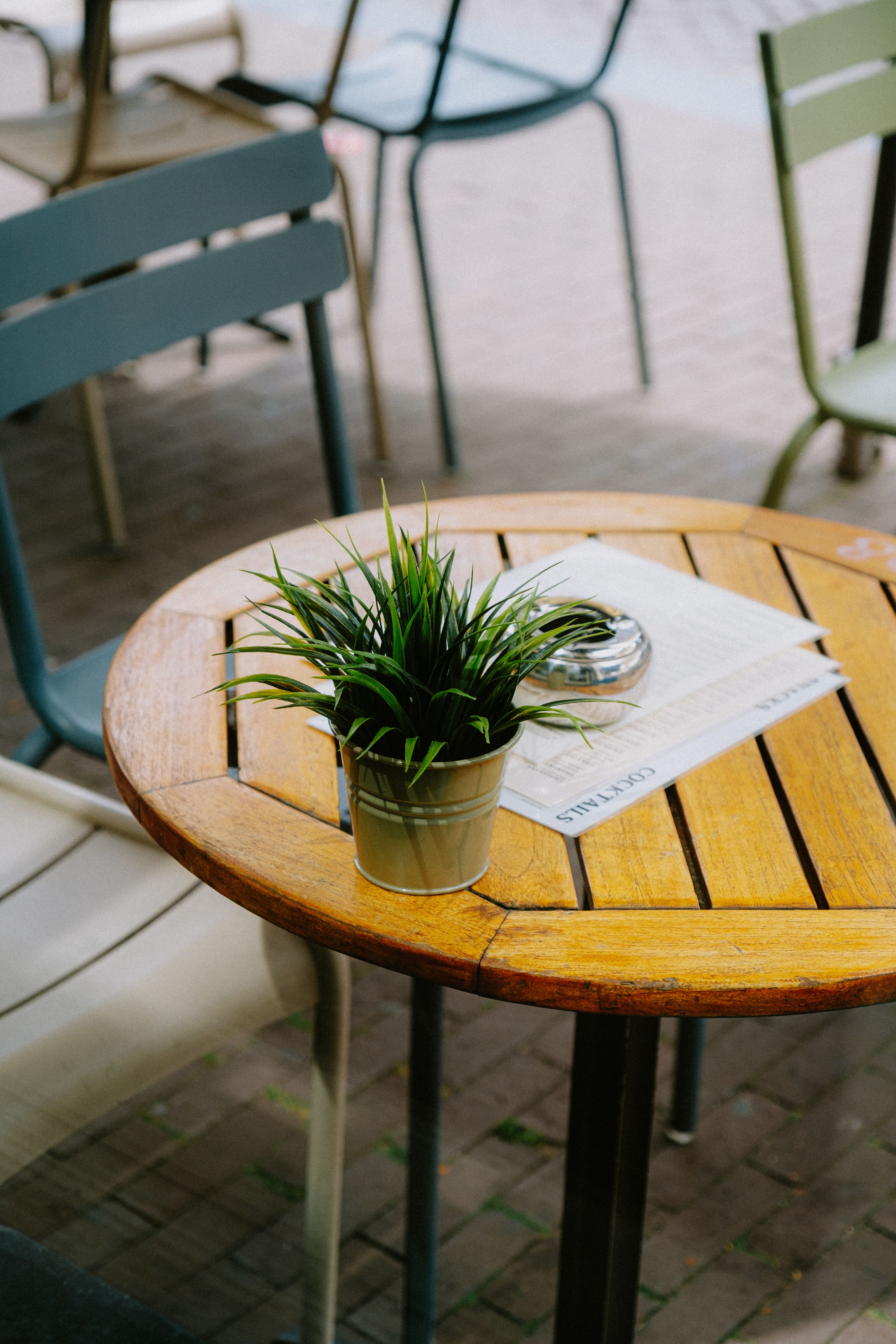 Potted Grass on Table in Cafe · Free Stock Photo
