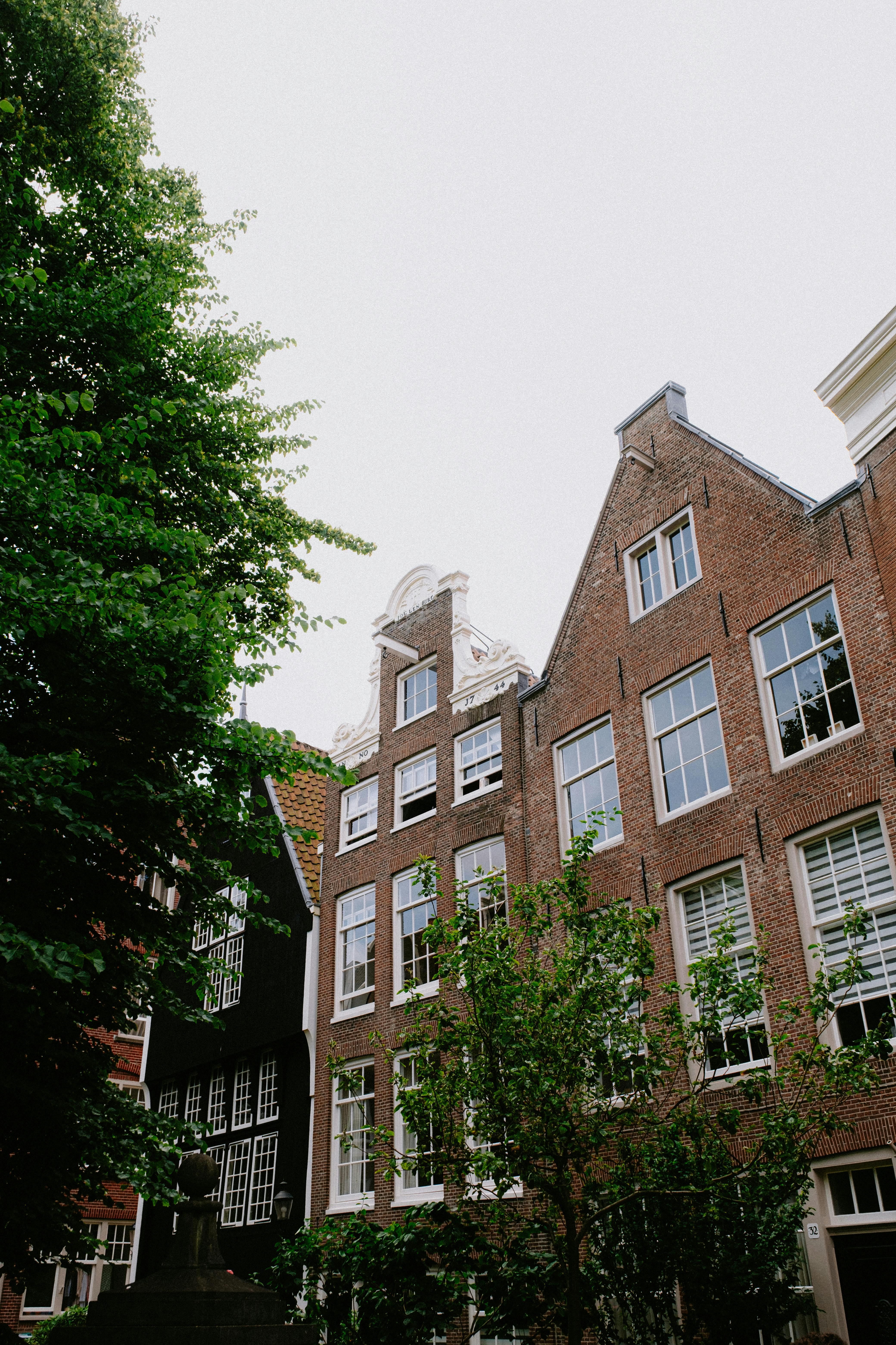 Trees near Bridge in Amsterdam · Free Stock Photo