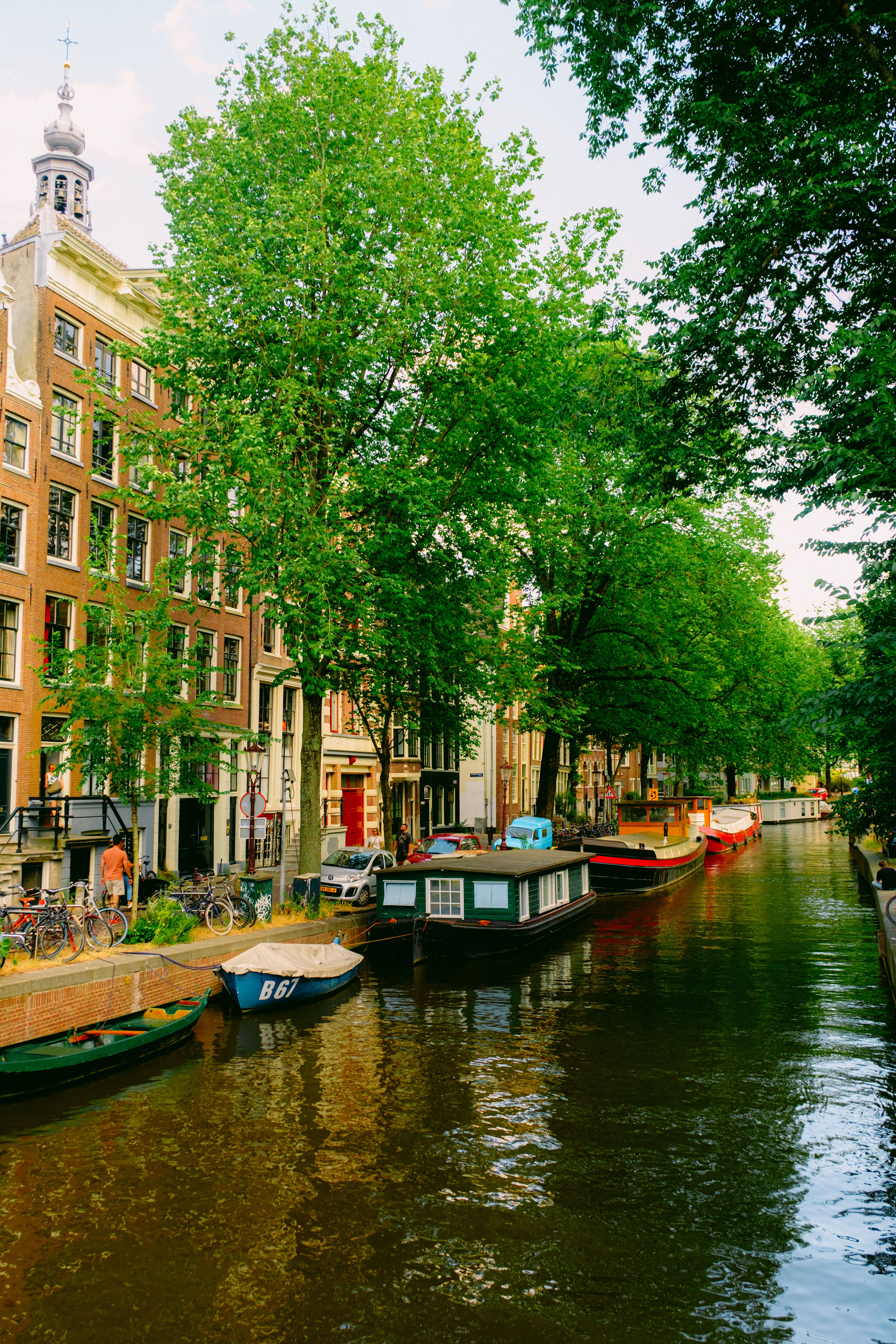 Trees over Canal in Amsterdam · Free Stock Photo