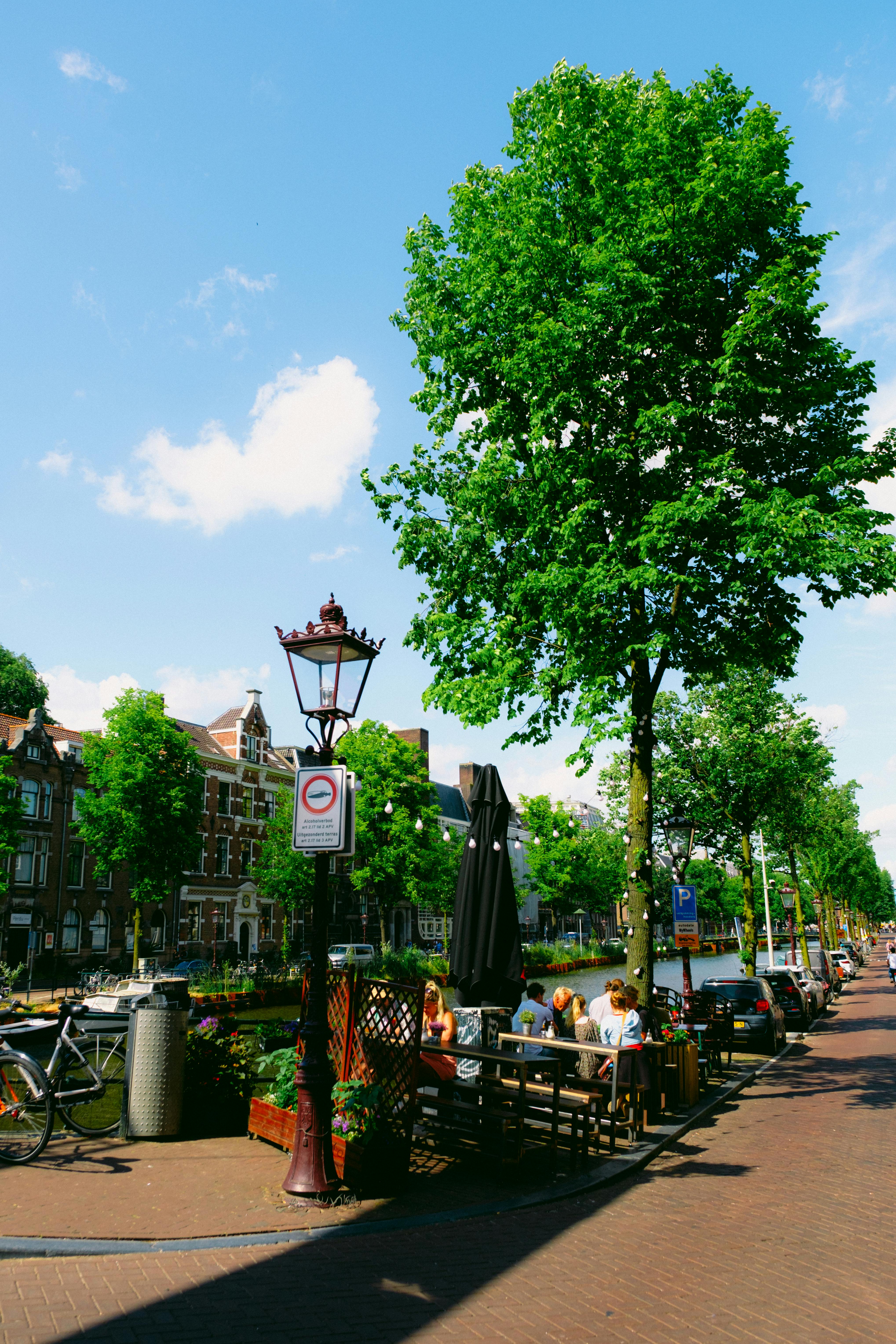 Trees near Bridge in Amsterdam · Free Stock Photo