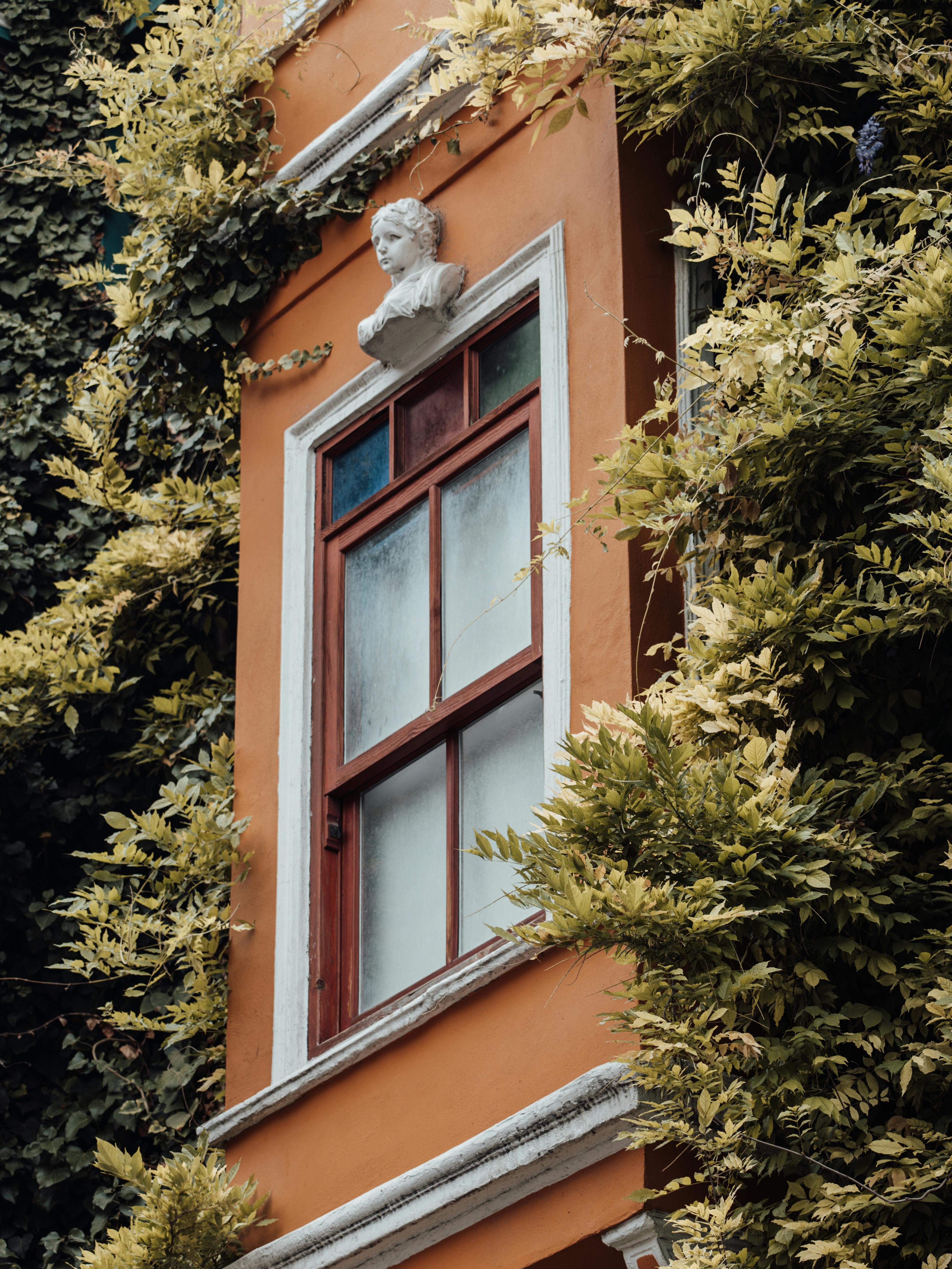 Bust Grafic Photos, Download The BEST Free Bust Grafic Stock Photos ...