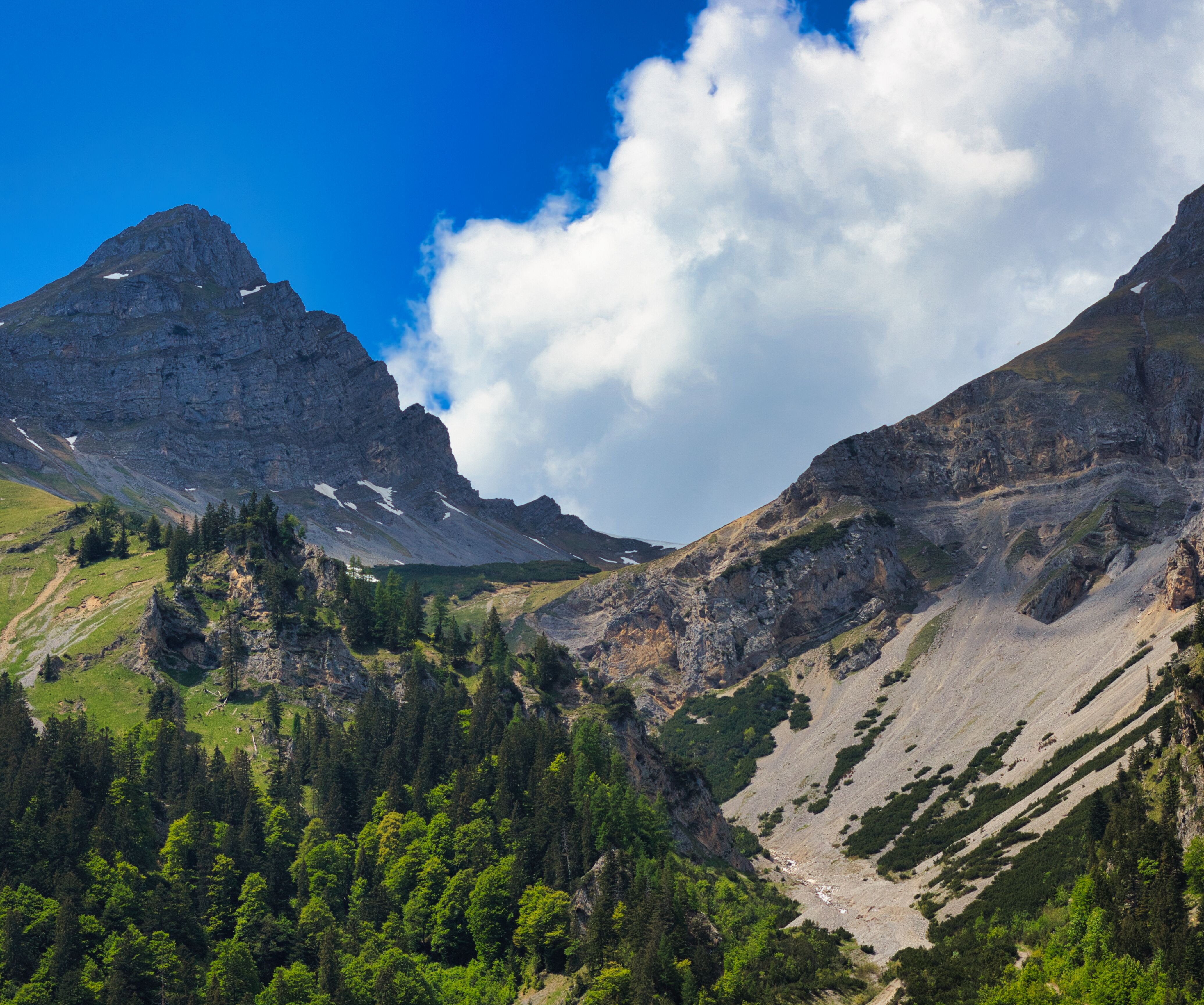 Trees under Mountains · Free Stock Photo