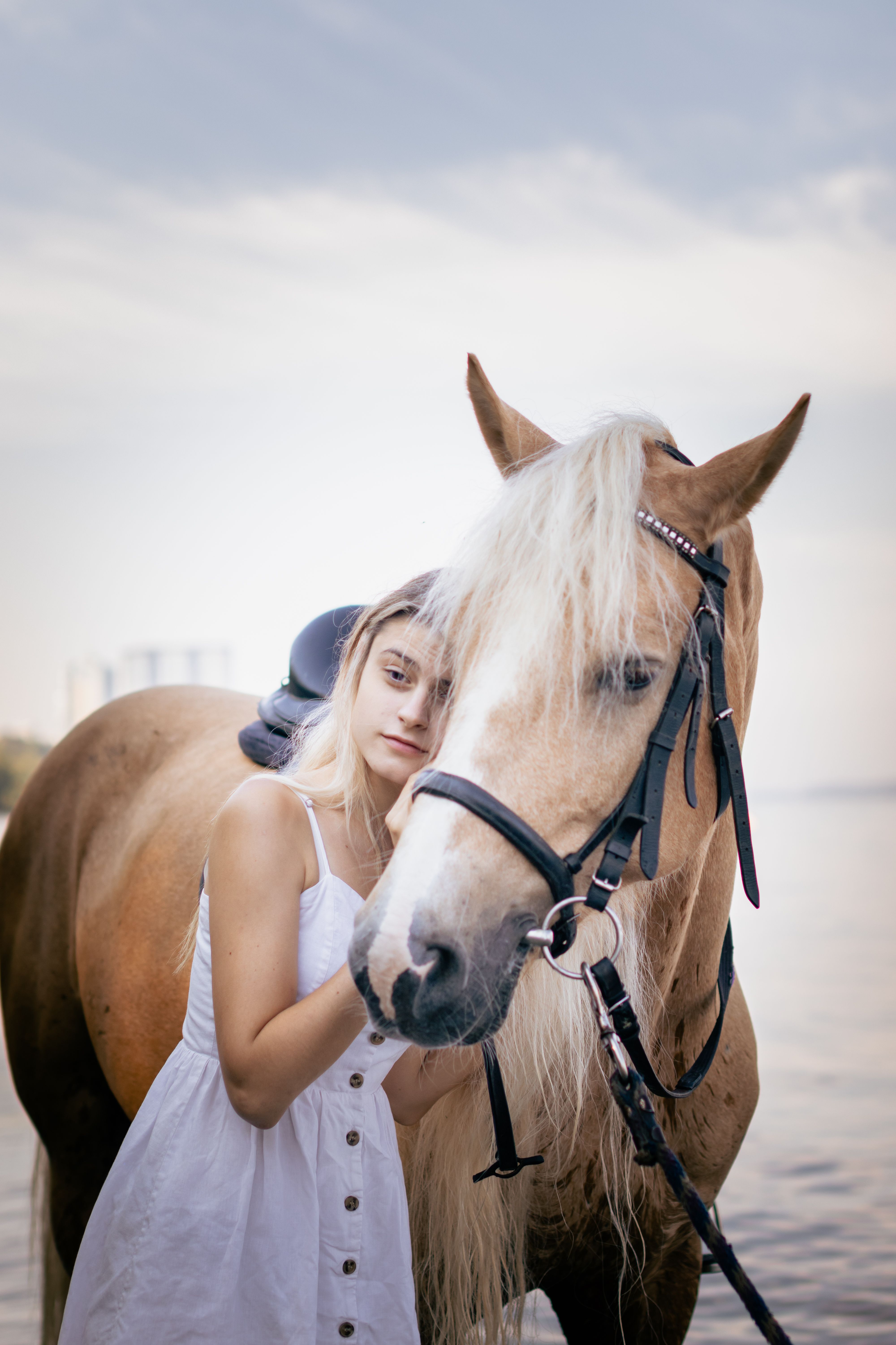 Country Relation Animation Photos, Download The BEST Free Country ...