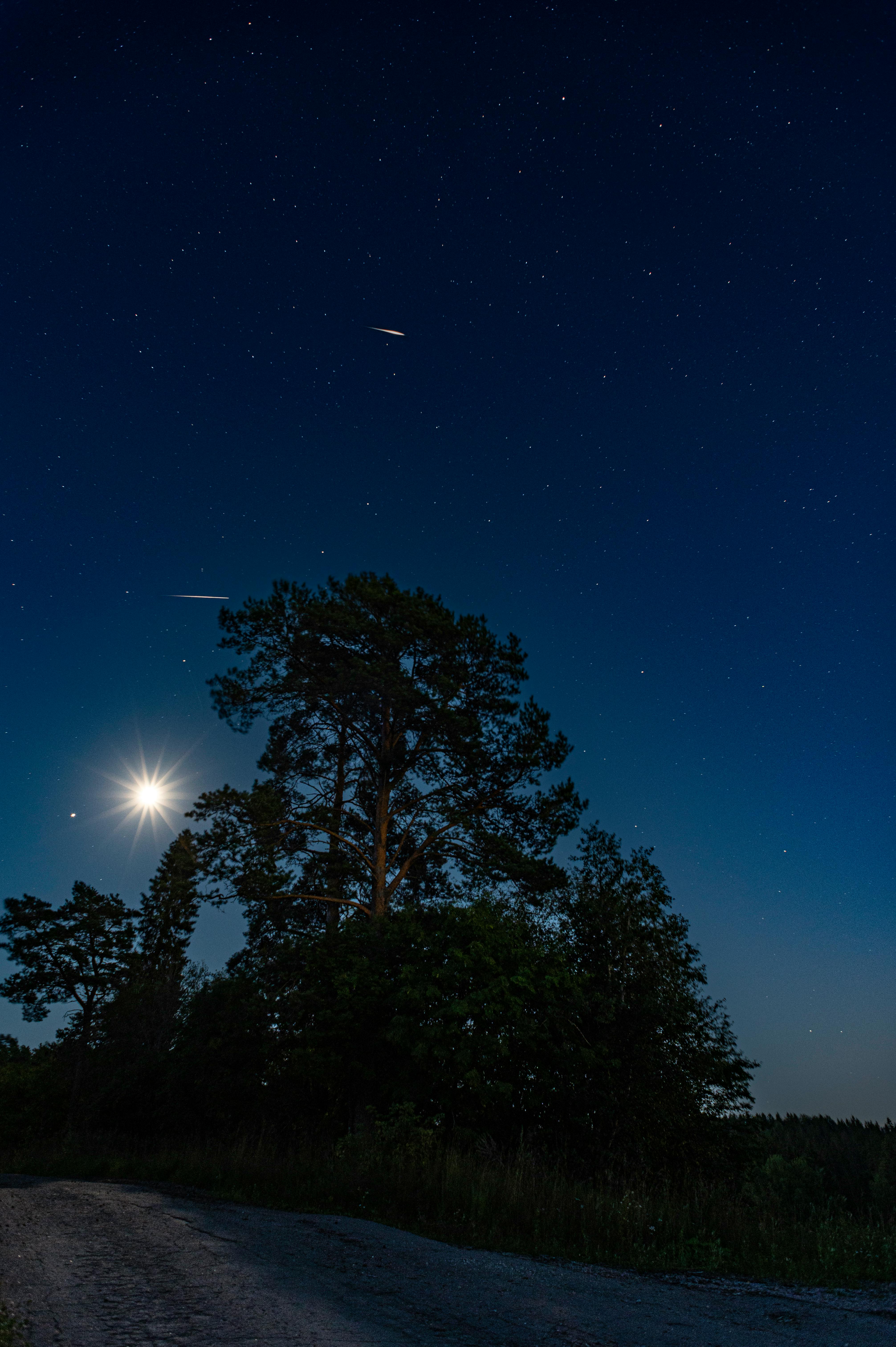 Sky Full of Stars · Free Stock Photo