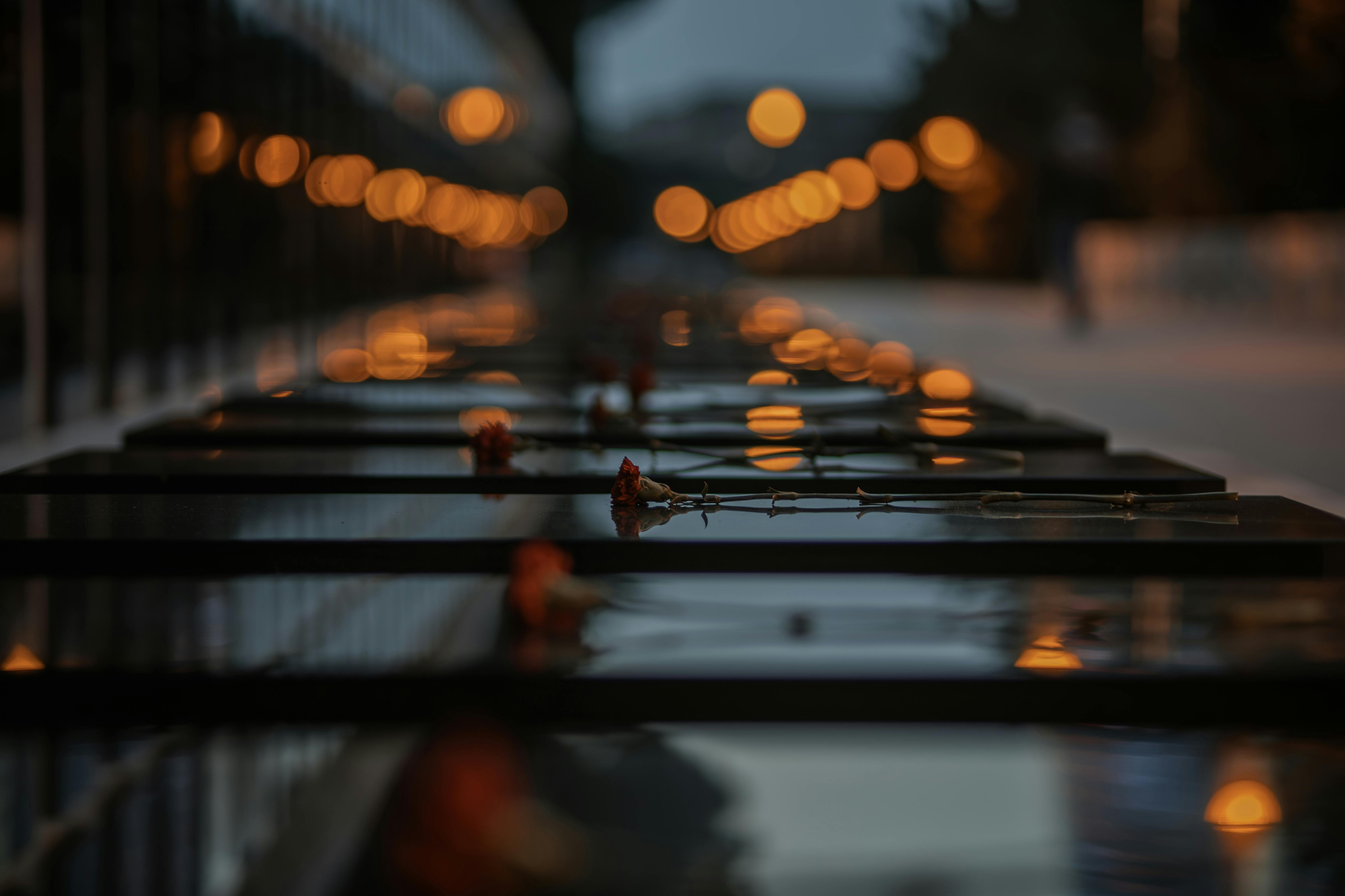 Roses on Graves in Sehidler Xiyabani in Baku · Free Stock Photo