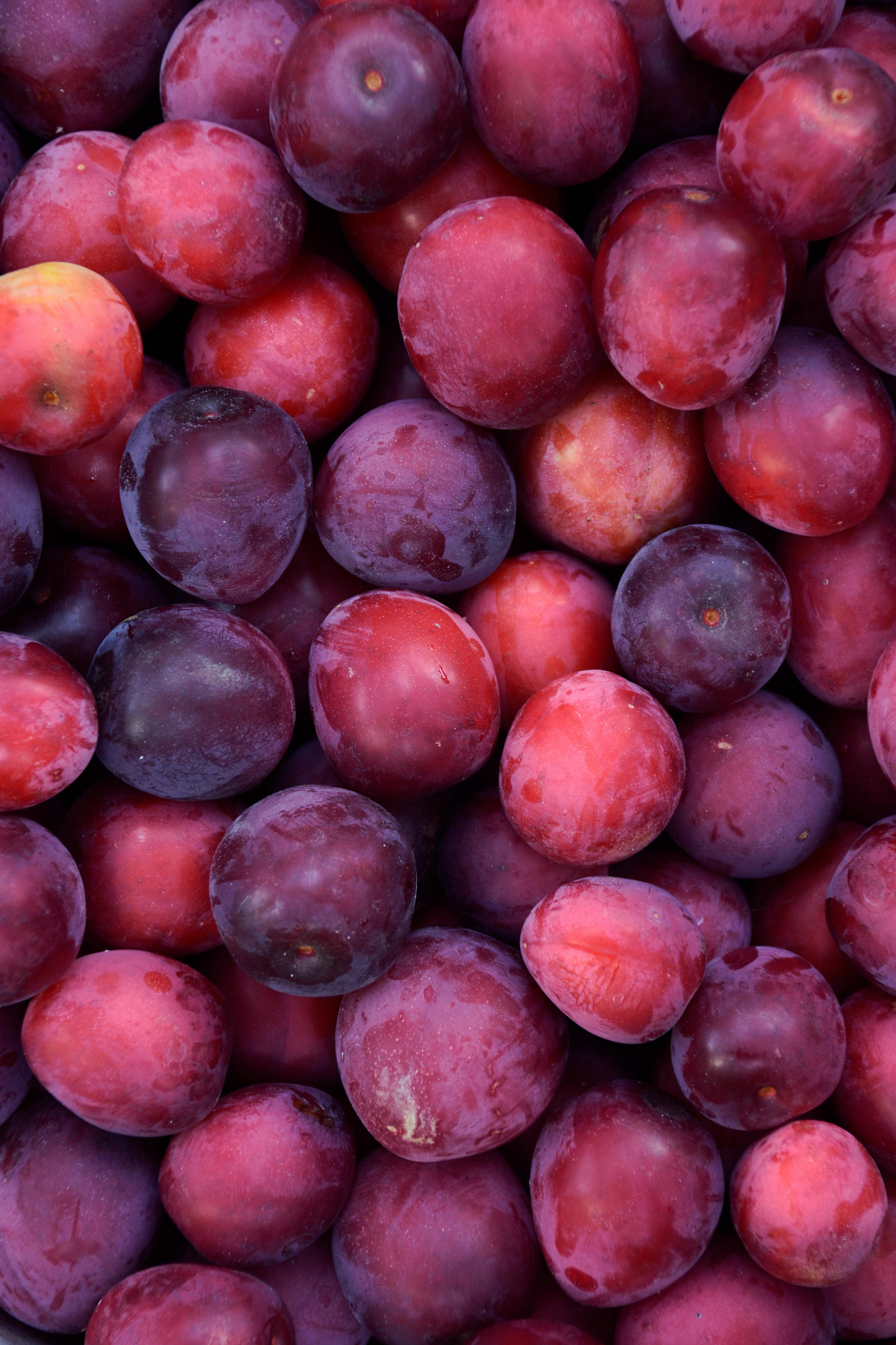 Heap of Plums · Free Stock Photo