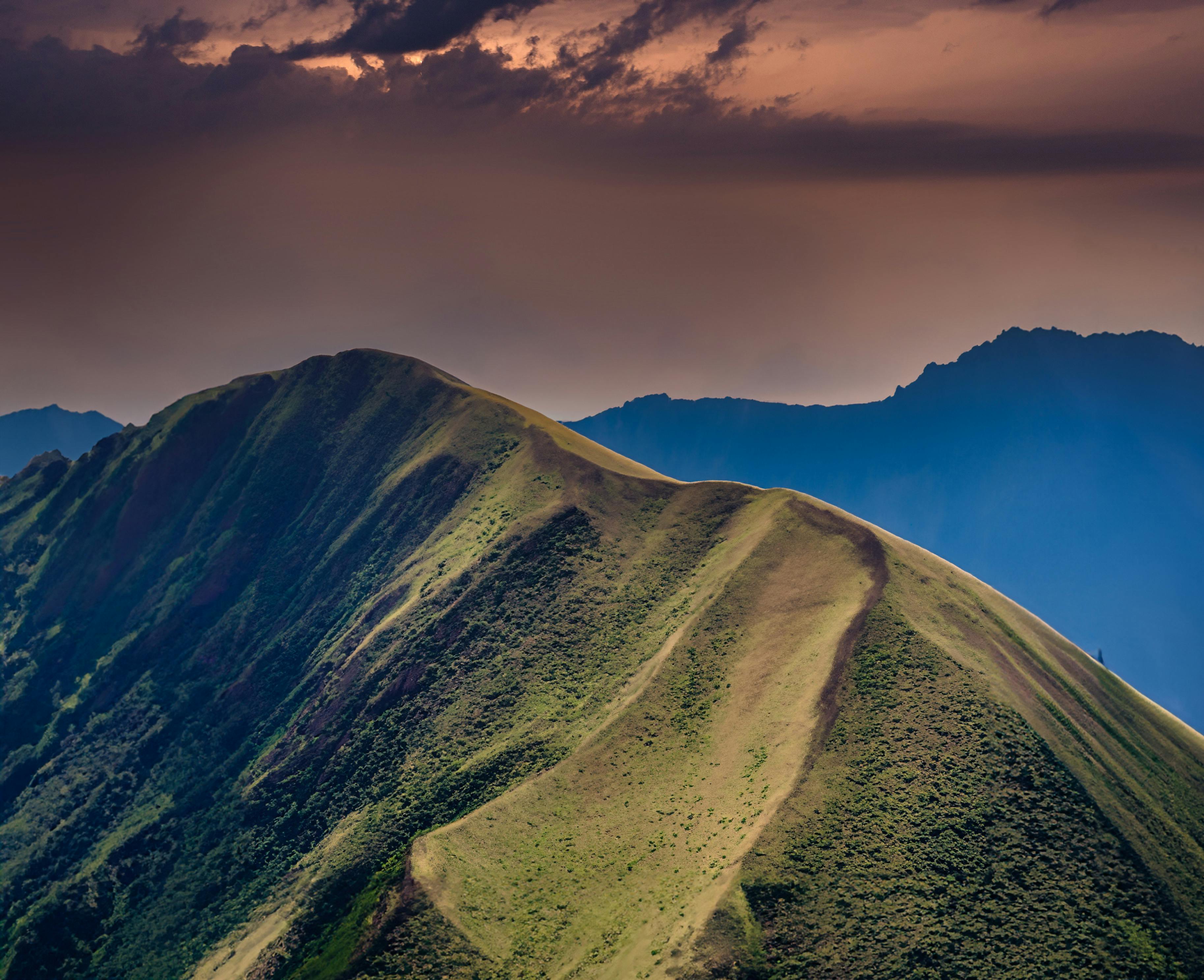 Stuart Dawson - Fotografía