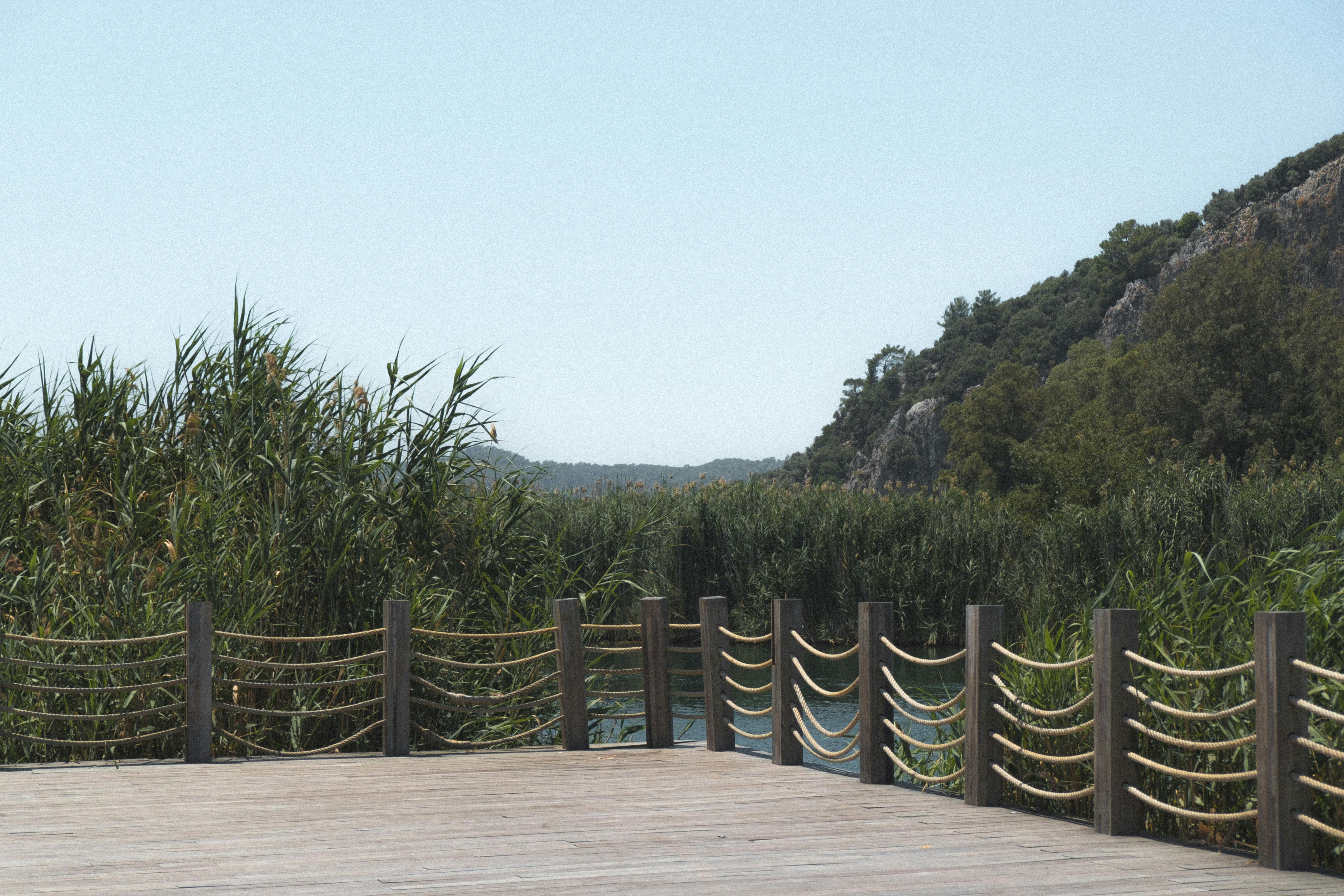 Large Wooden Pier on Lakeshore · Free Stock Photo