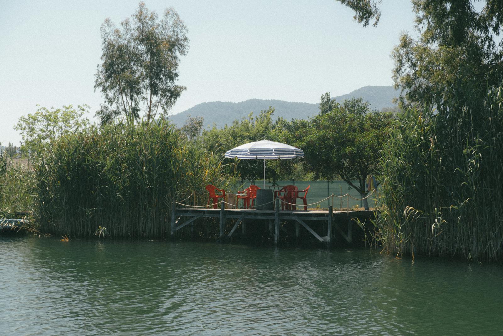 Sun Shade Photos, Download The BEST Free Sun Shade Stock Photos & HD Images