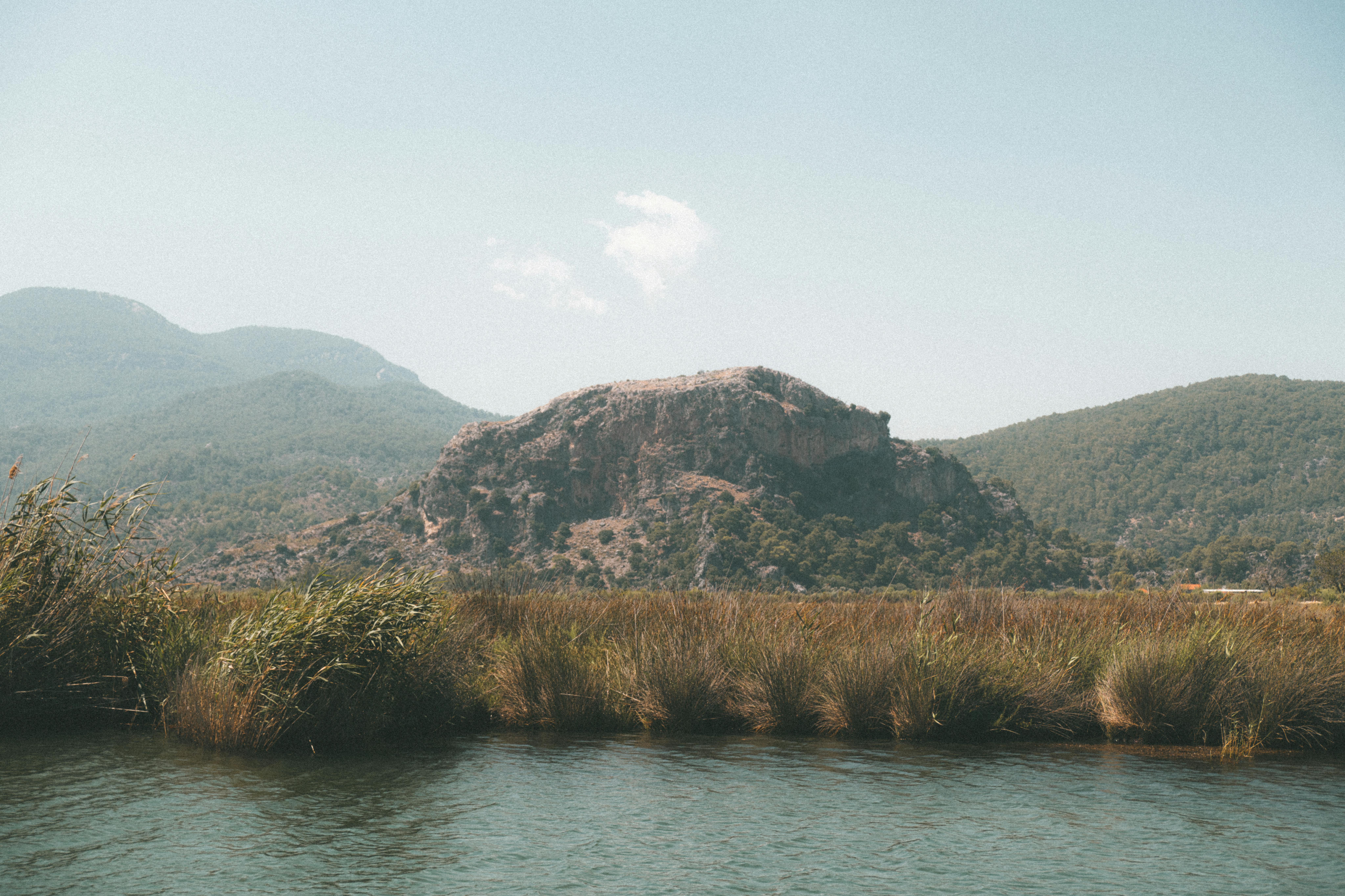 Bright Forest 1024 X 576 Pixels Photos, Download The BEST Free Bright ...