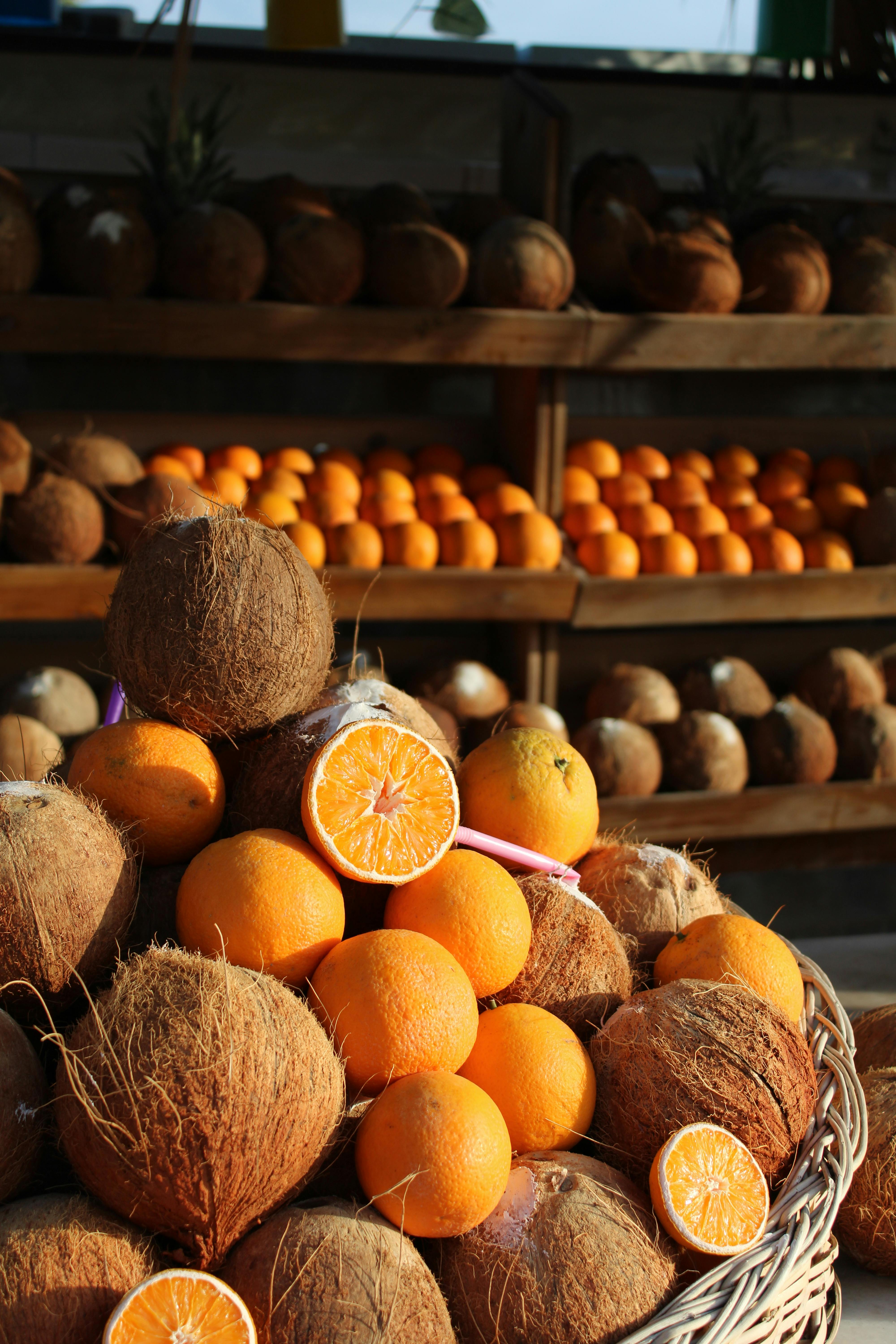 Oranges and Coconut on Display · Free Stock Photo