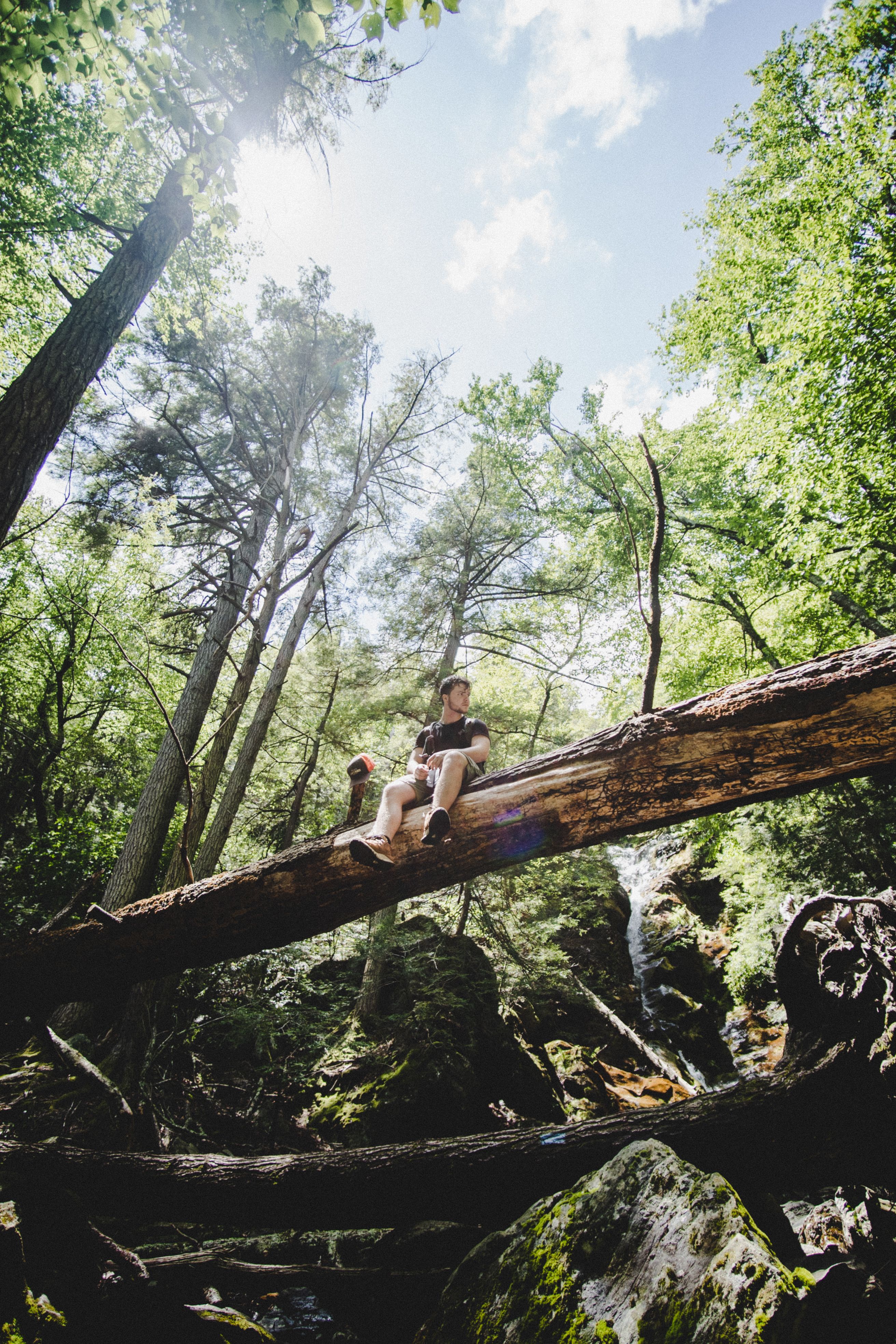 Man Sitting on Fallen Tree in Summer Forest · Free Stock Photo