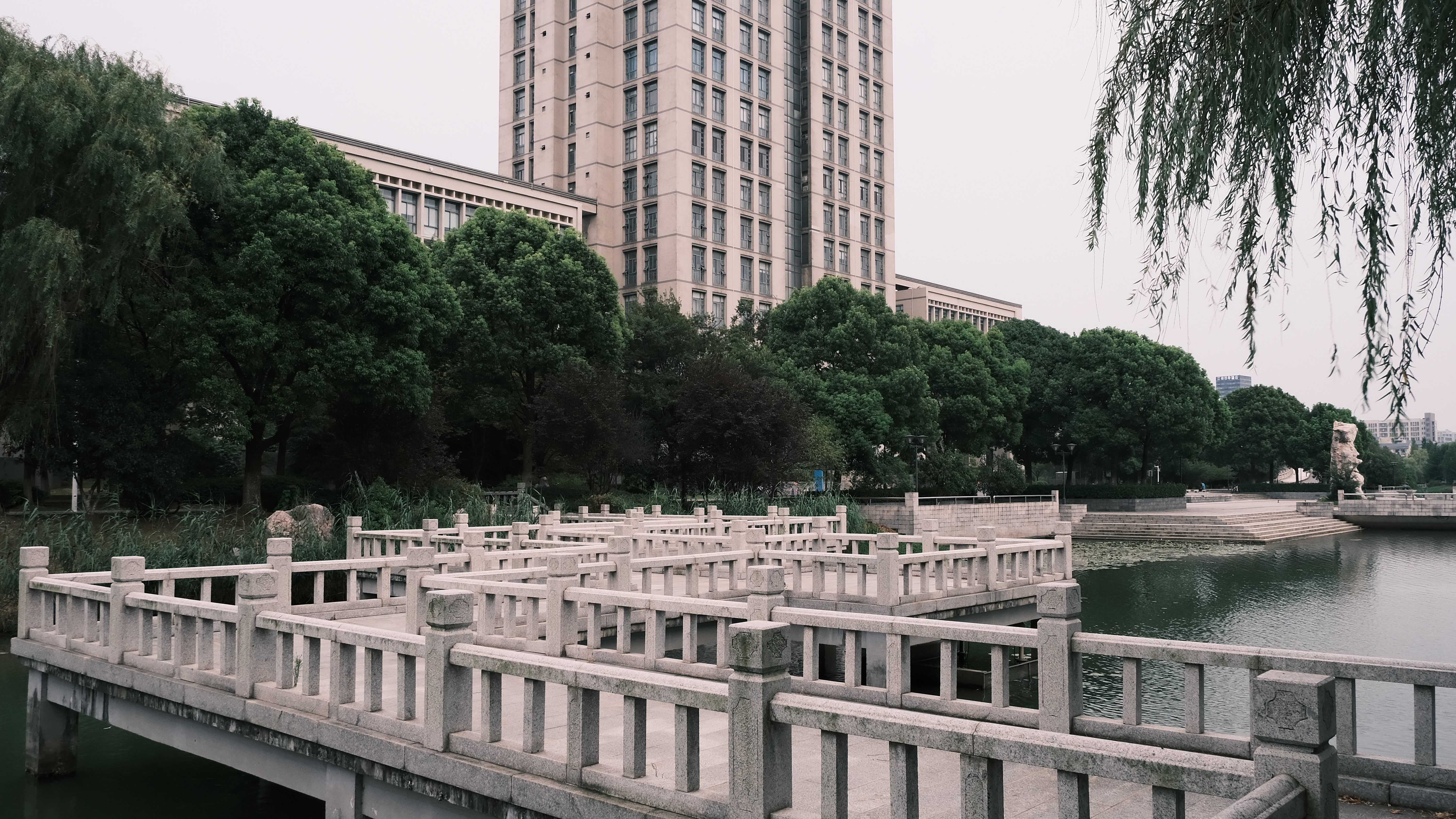 Boardwalk over Pond in Park · Free Stock Photo