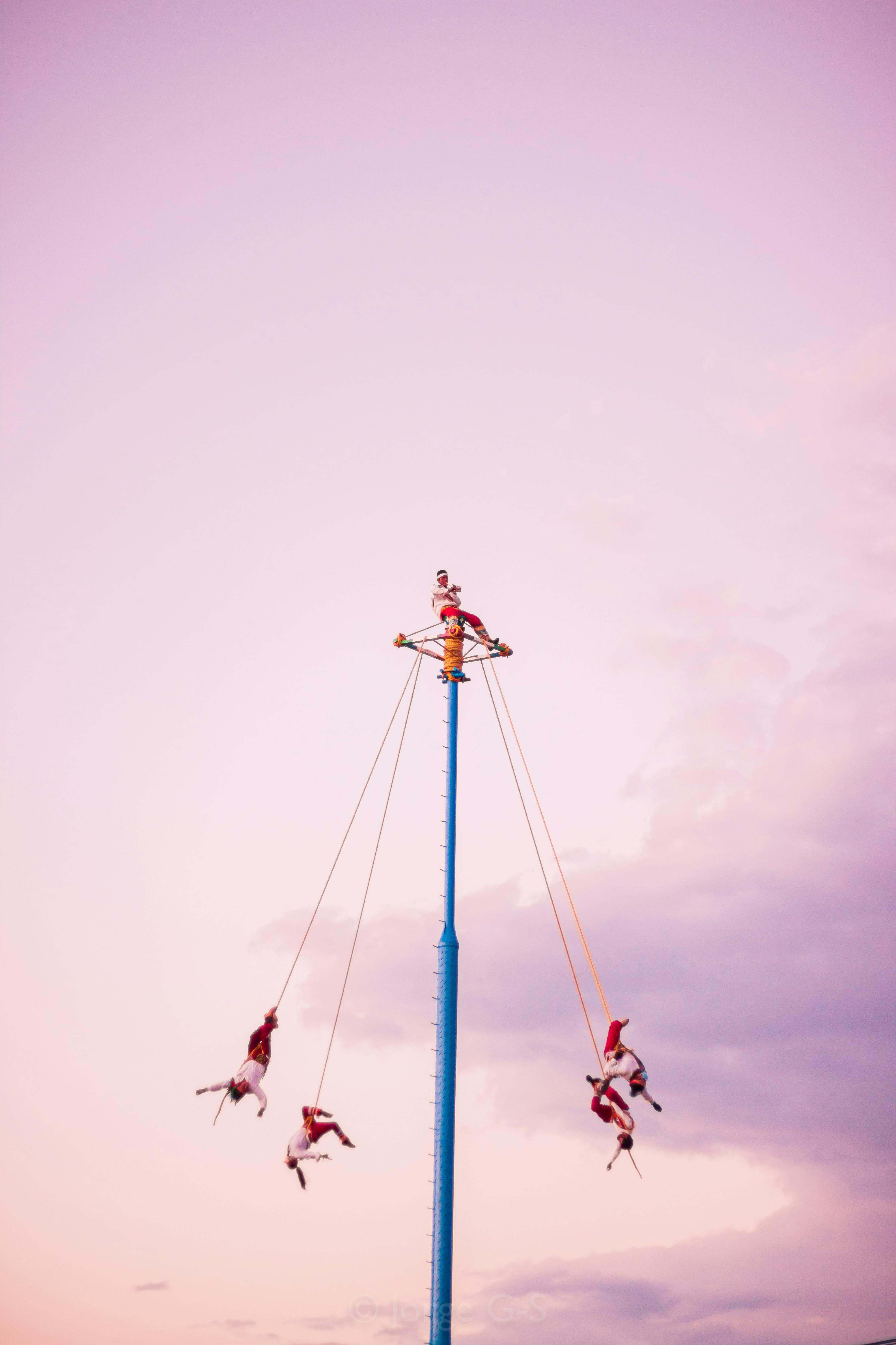 Pole Performers Photos, Download The BEST Free Pole Performers Stock ...