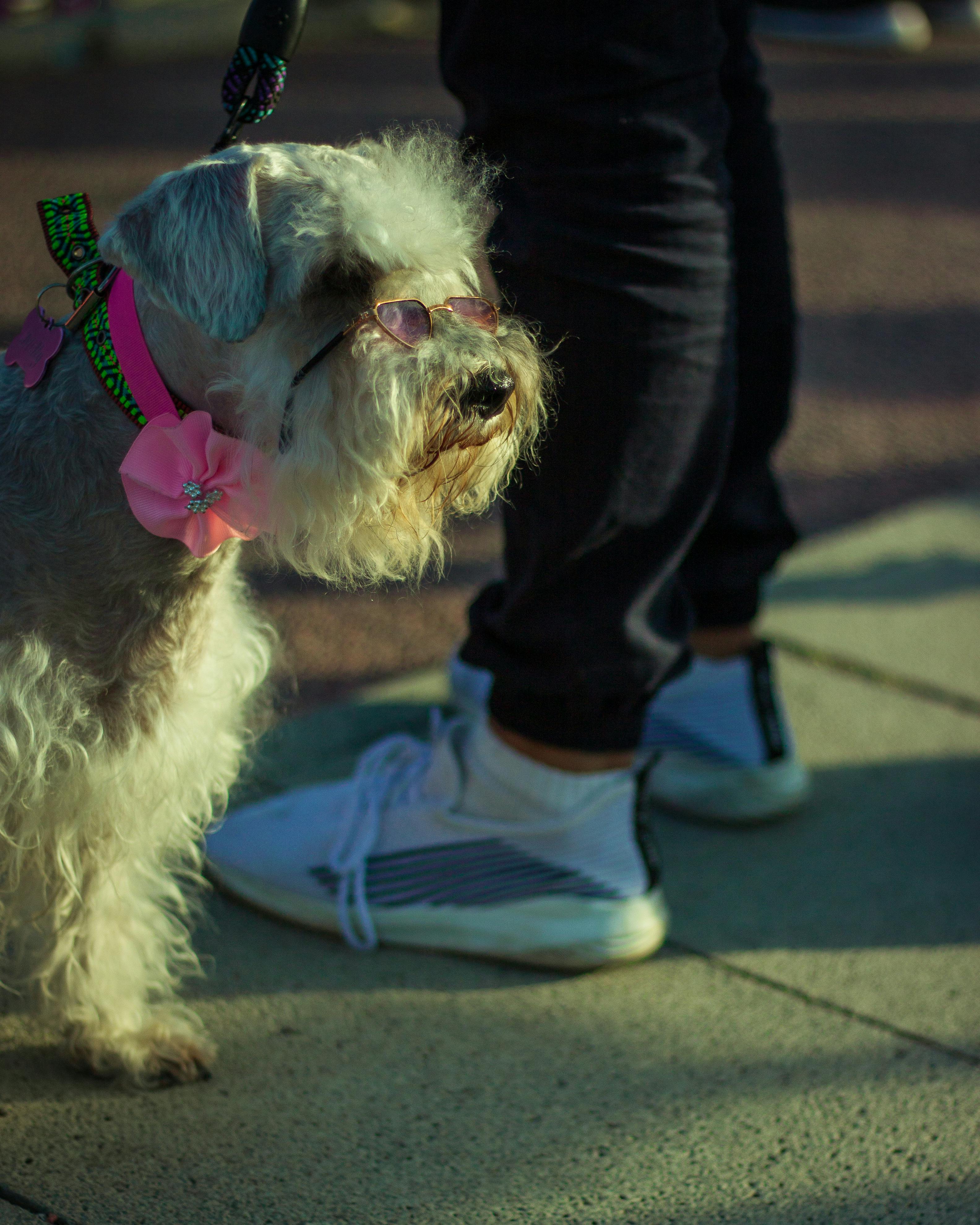 Animated Legs Cartoon Photos, Download The BEST Free Animated Legs ...