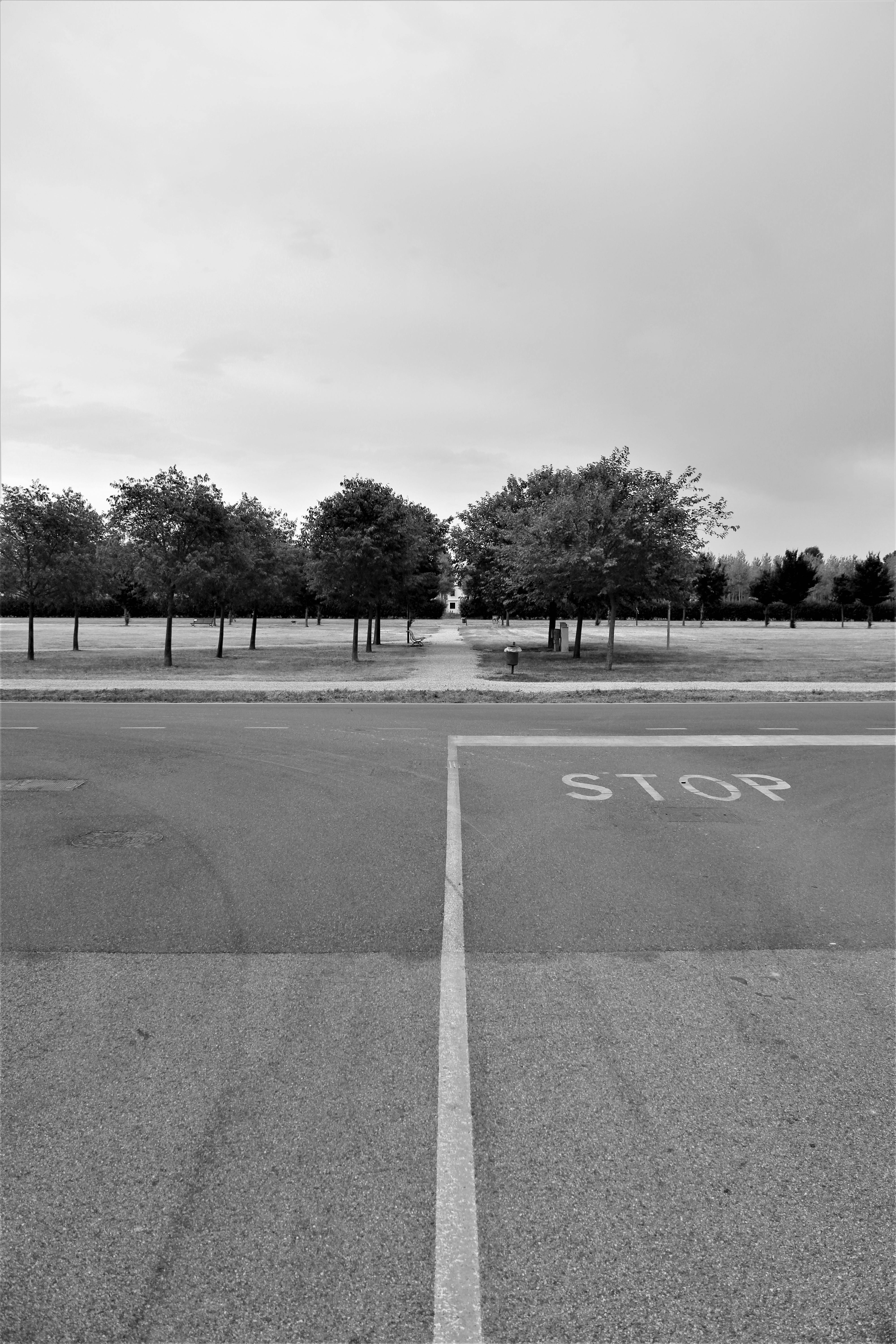 Stop Line at Road Intersection by the Park · Free Stock Photo